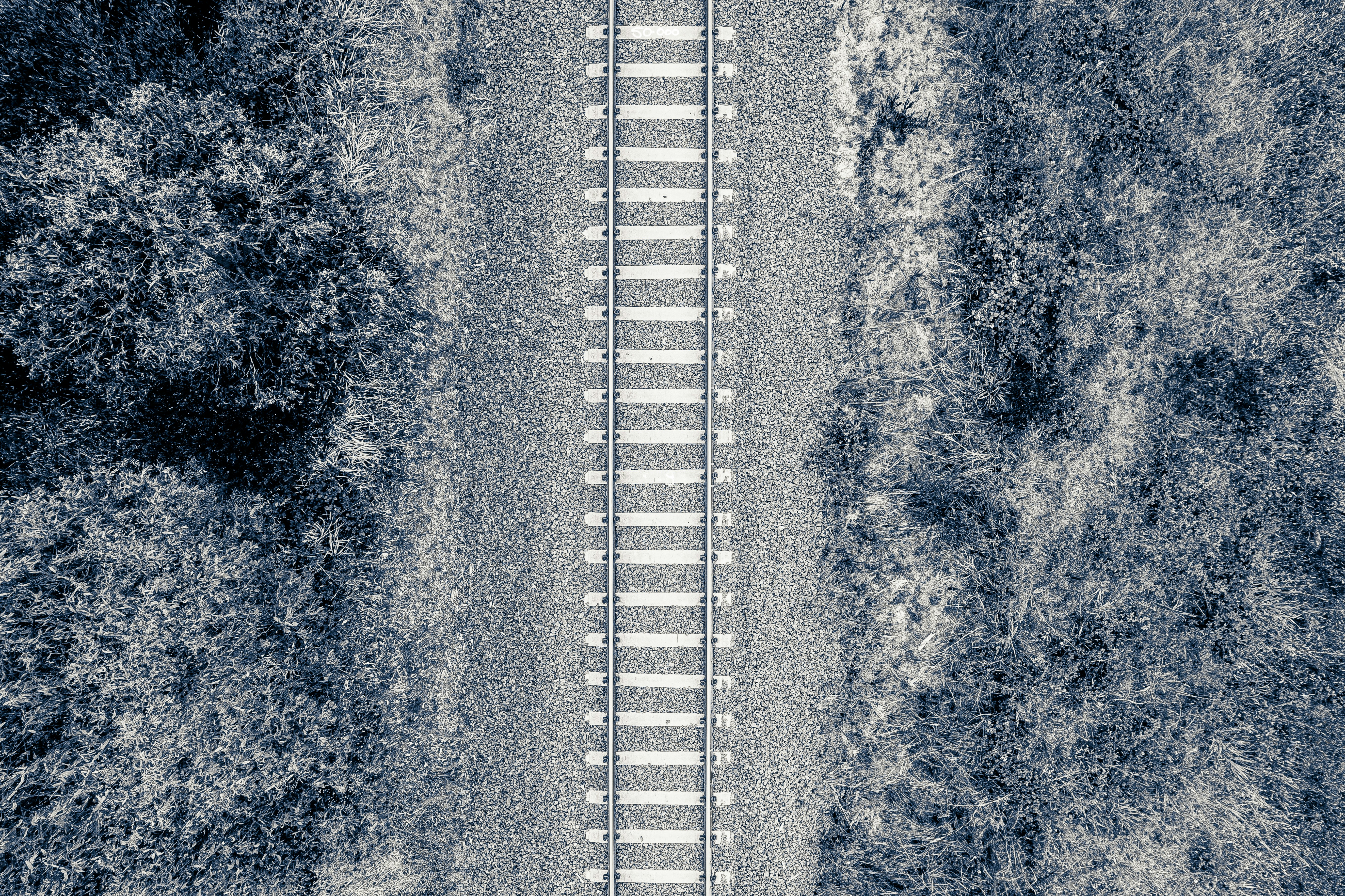 Aerial view of railway tracks bordered by dense foliage, showcasing the contrast between man-made structures and nature's embrace.