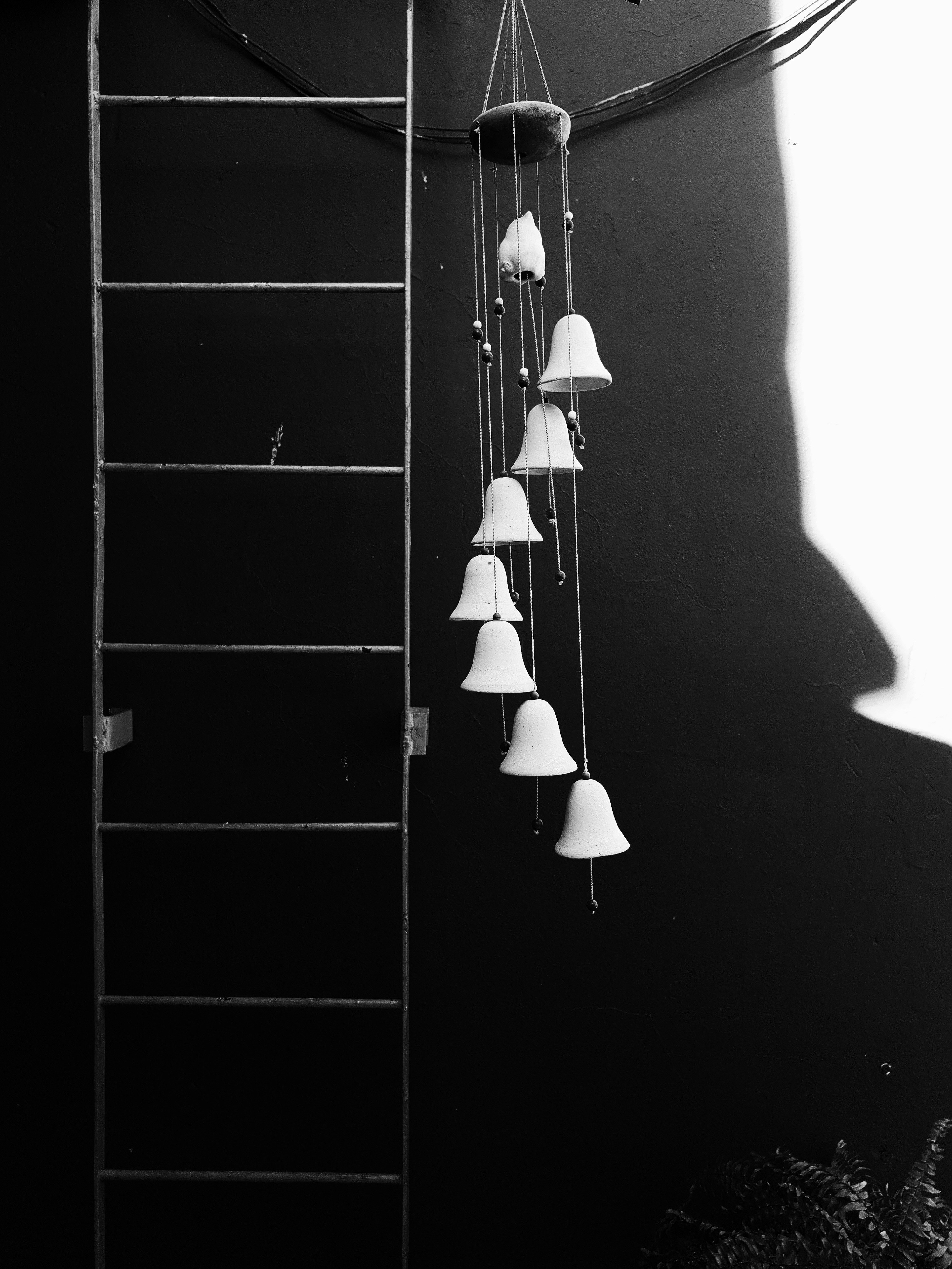 Monochrome Bell Cascade Against a Shadowed Silhouette