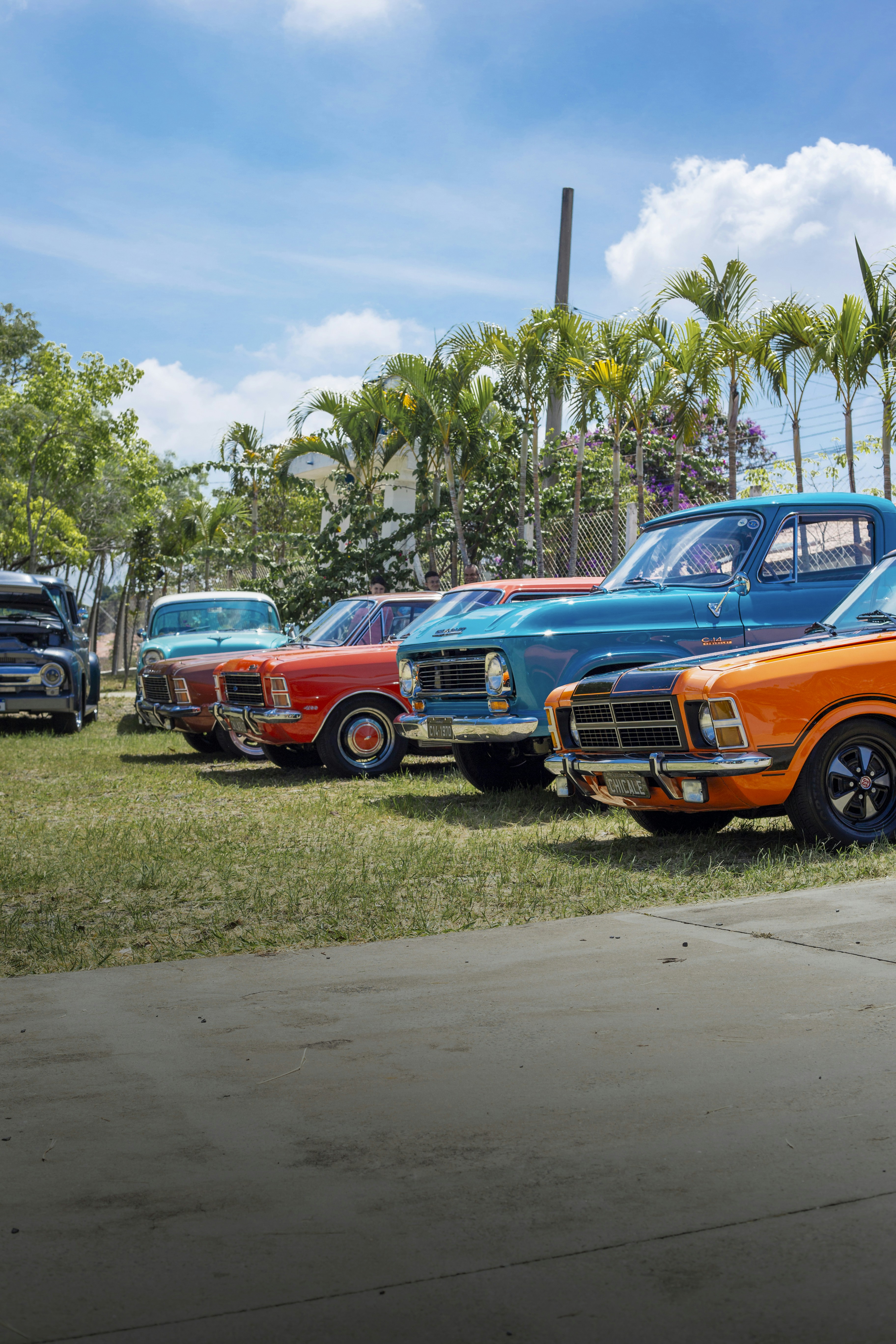 Candy-Colored Classics Line Up Under Palm Shadows