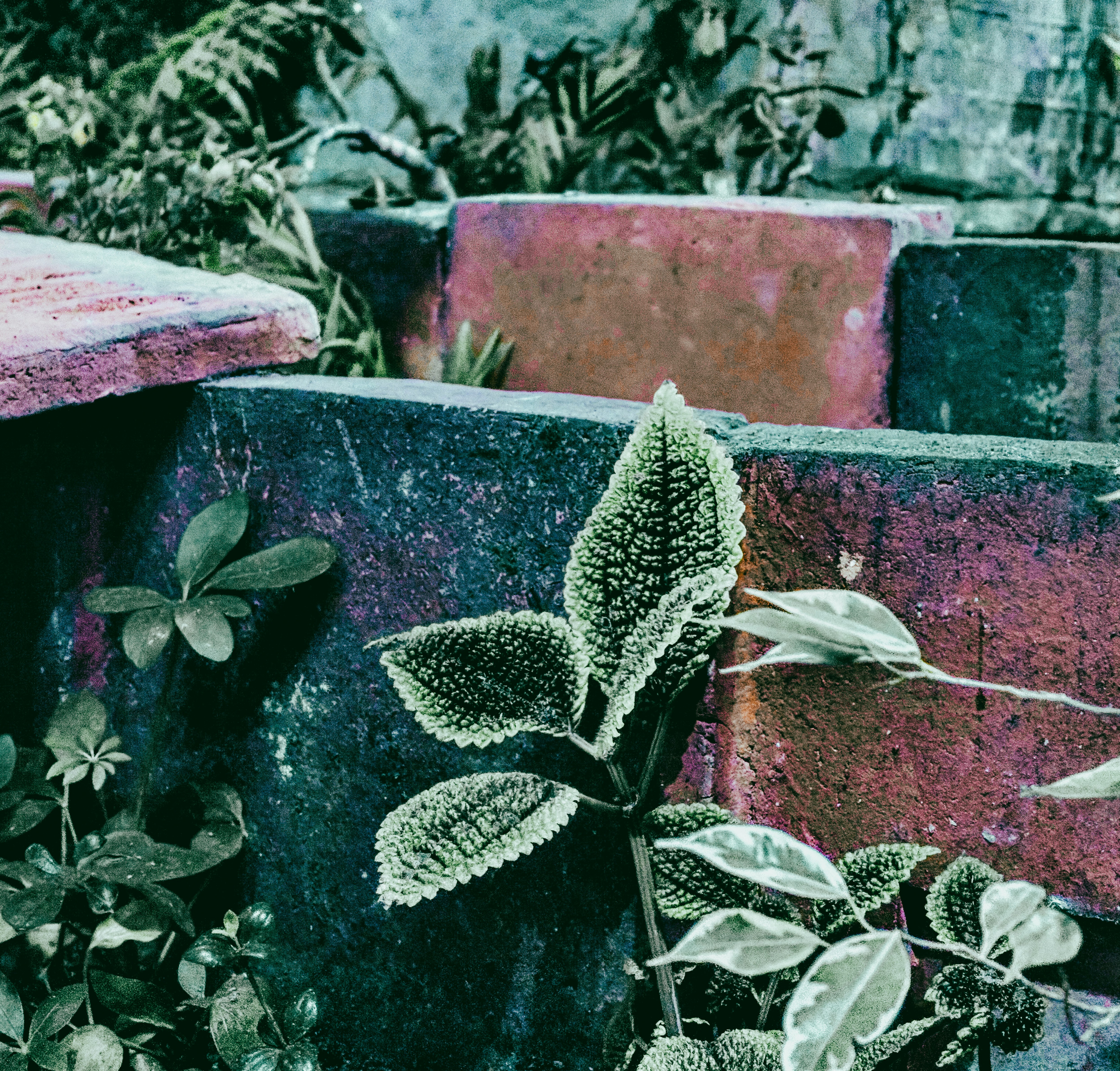 An art installation at the Hirshhorn museum features plant life