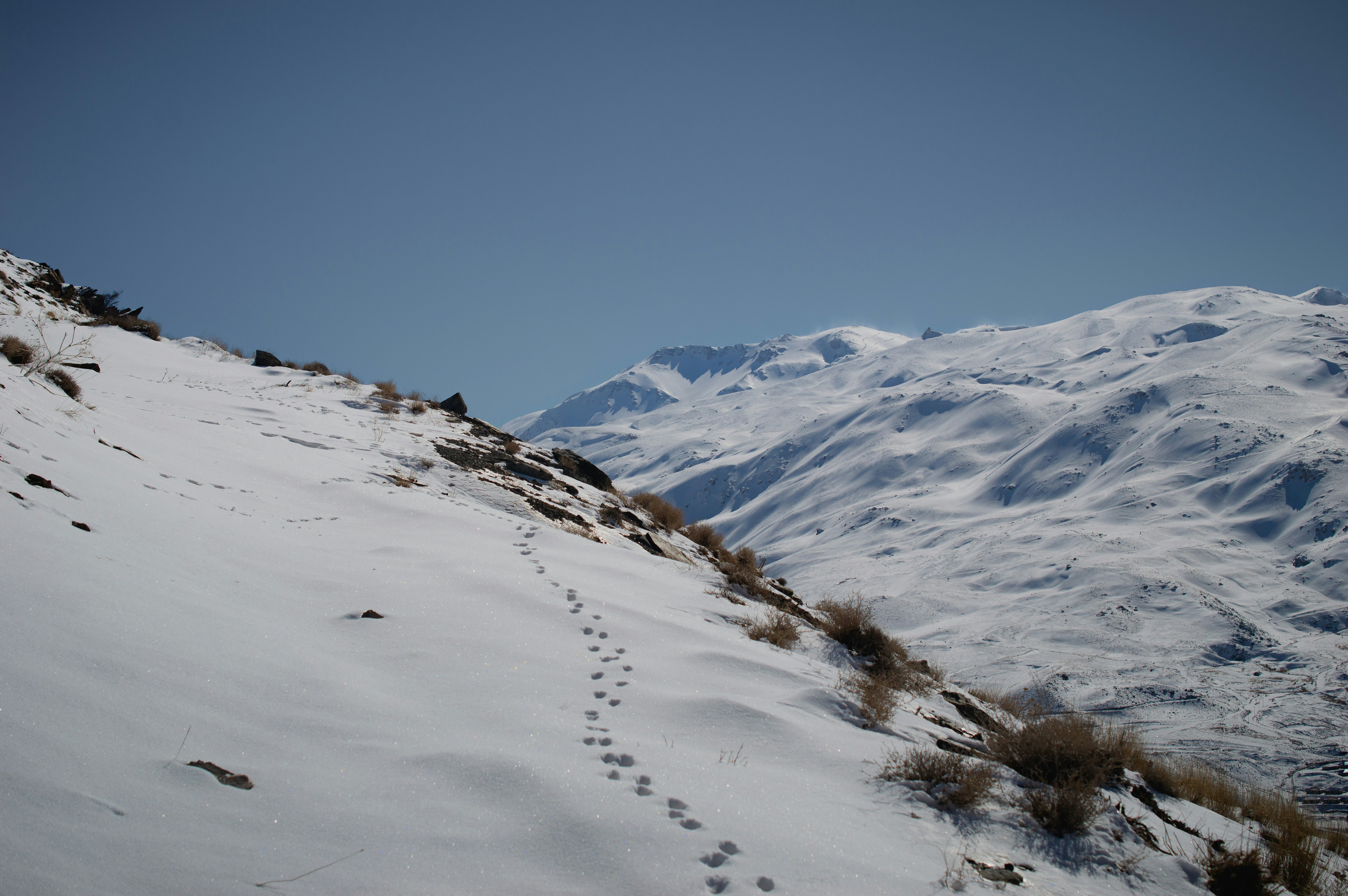 A snow covered mountain with tracks in the snow photo – Free Choman ...