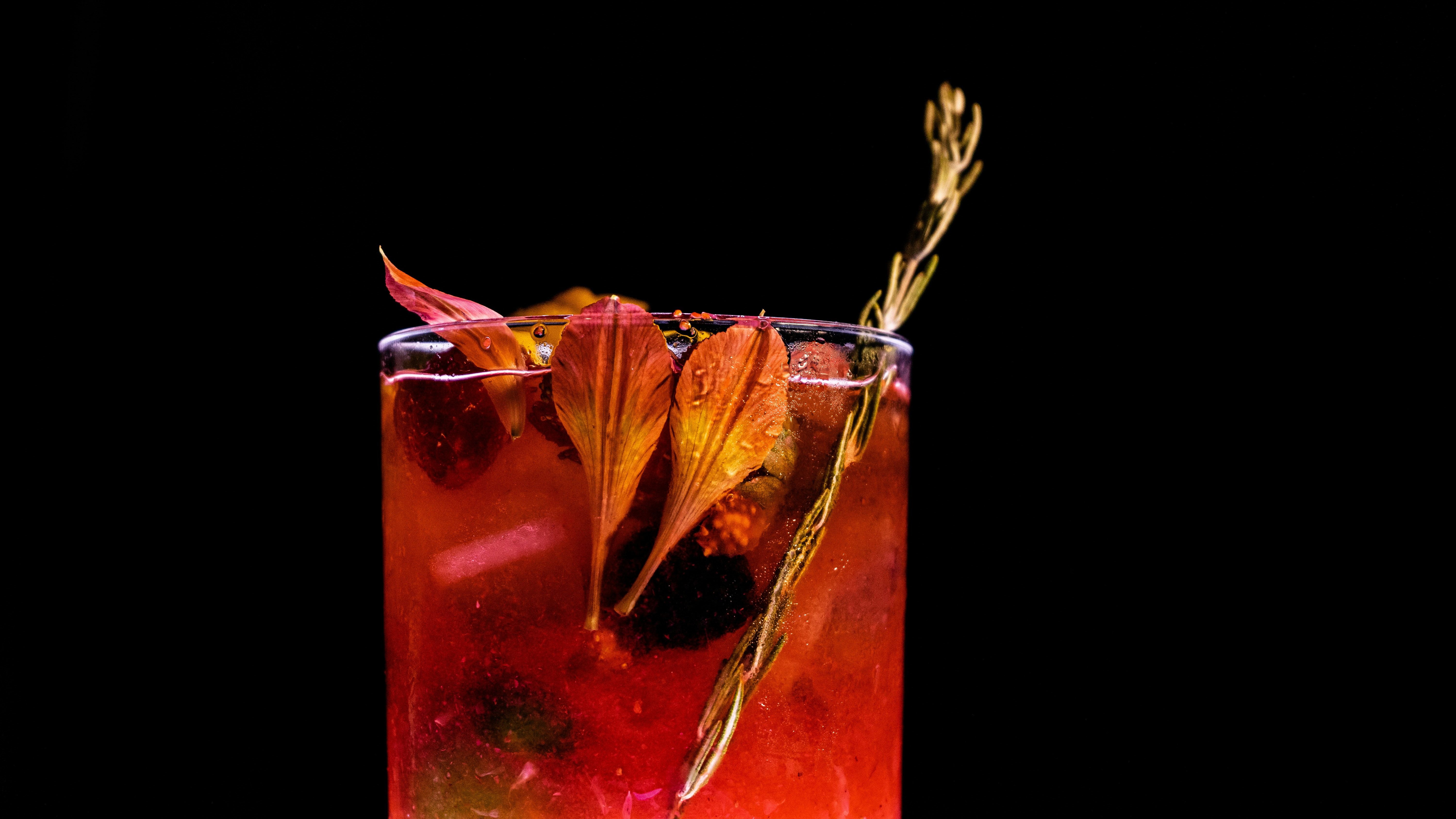 A vibrant cocktail adorned with colorful leaves and a decorative twig, set against a stark black background.