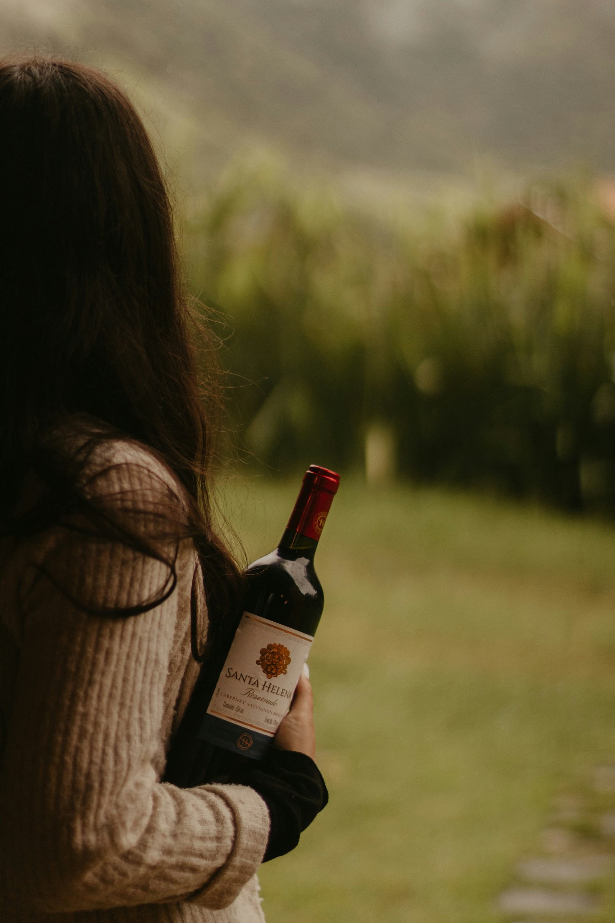 Wine and Quiet: A Portrait of Solitude in the Vineyard