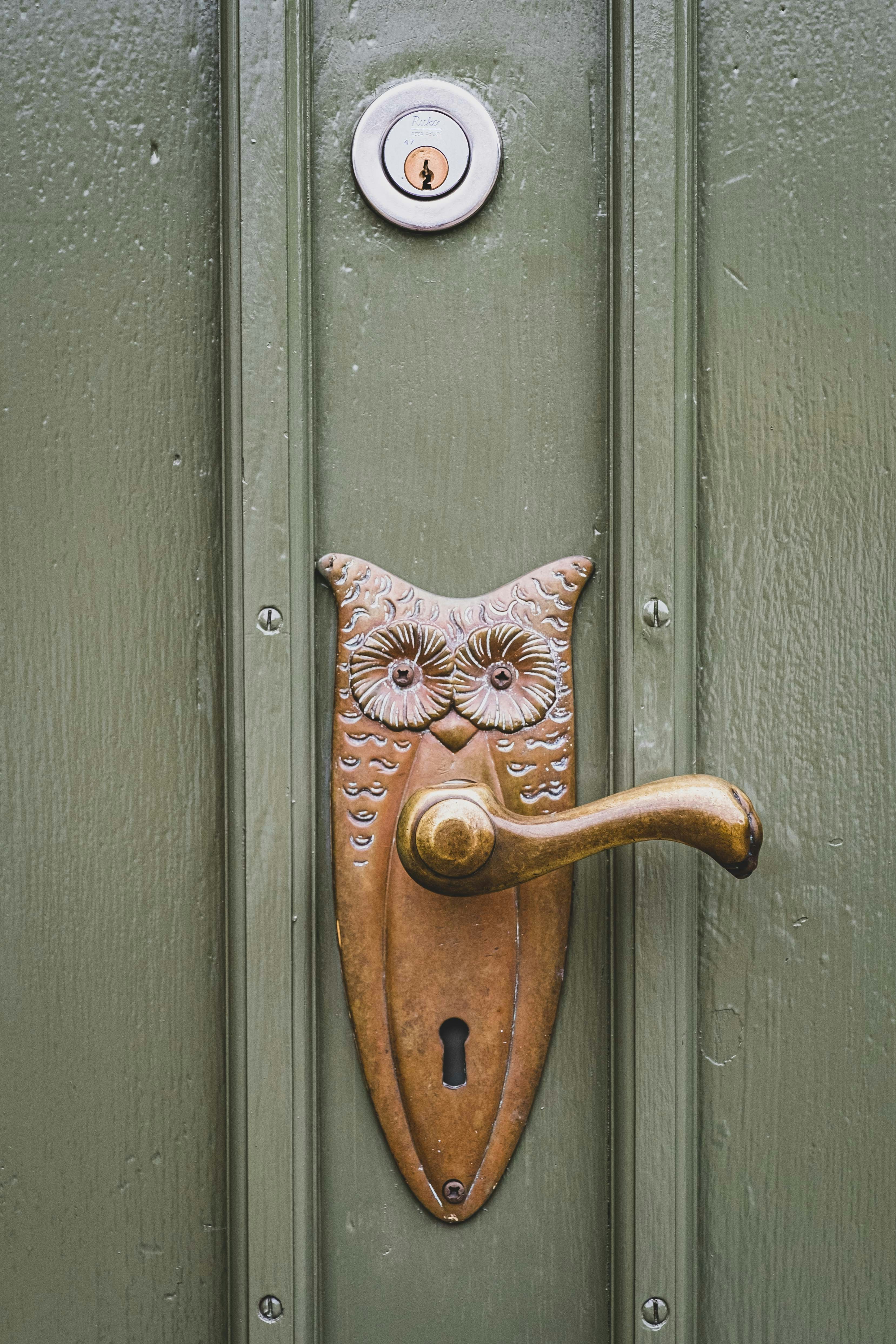 an owl shaped door handle on a green door