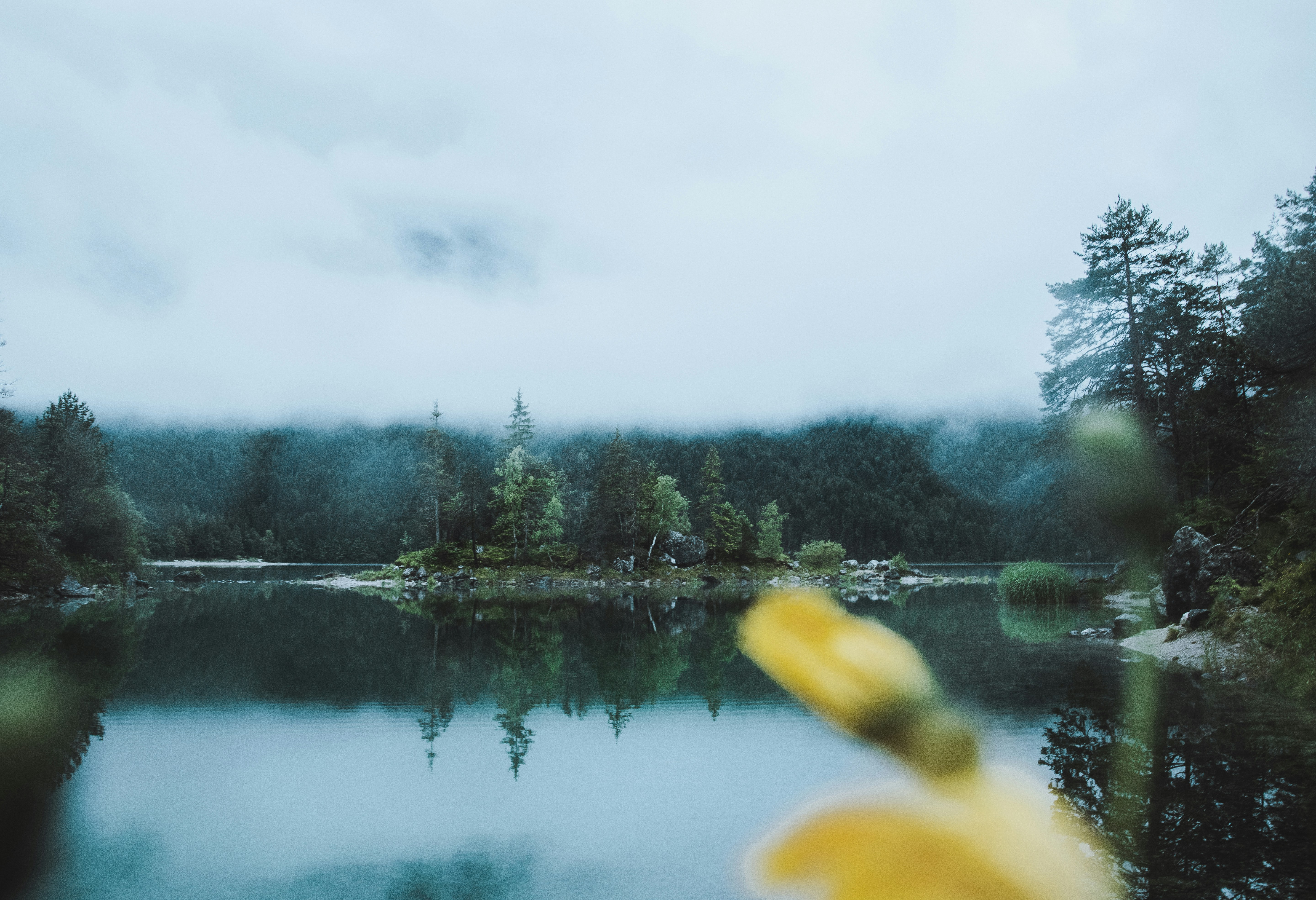 A serene lake surrounded by misty trees, reflecting the tranquil atmosphere of an early morning. The foreground features a hint of yellow flora, adding a subtle pop of color.