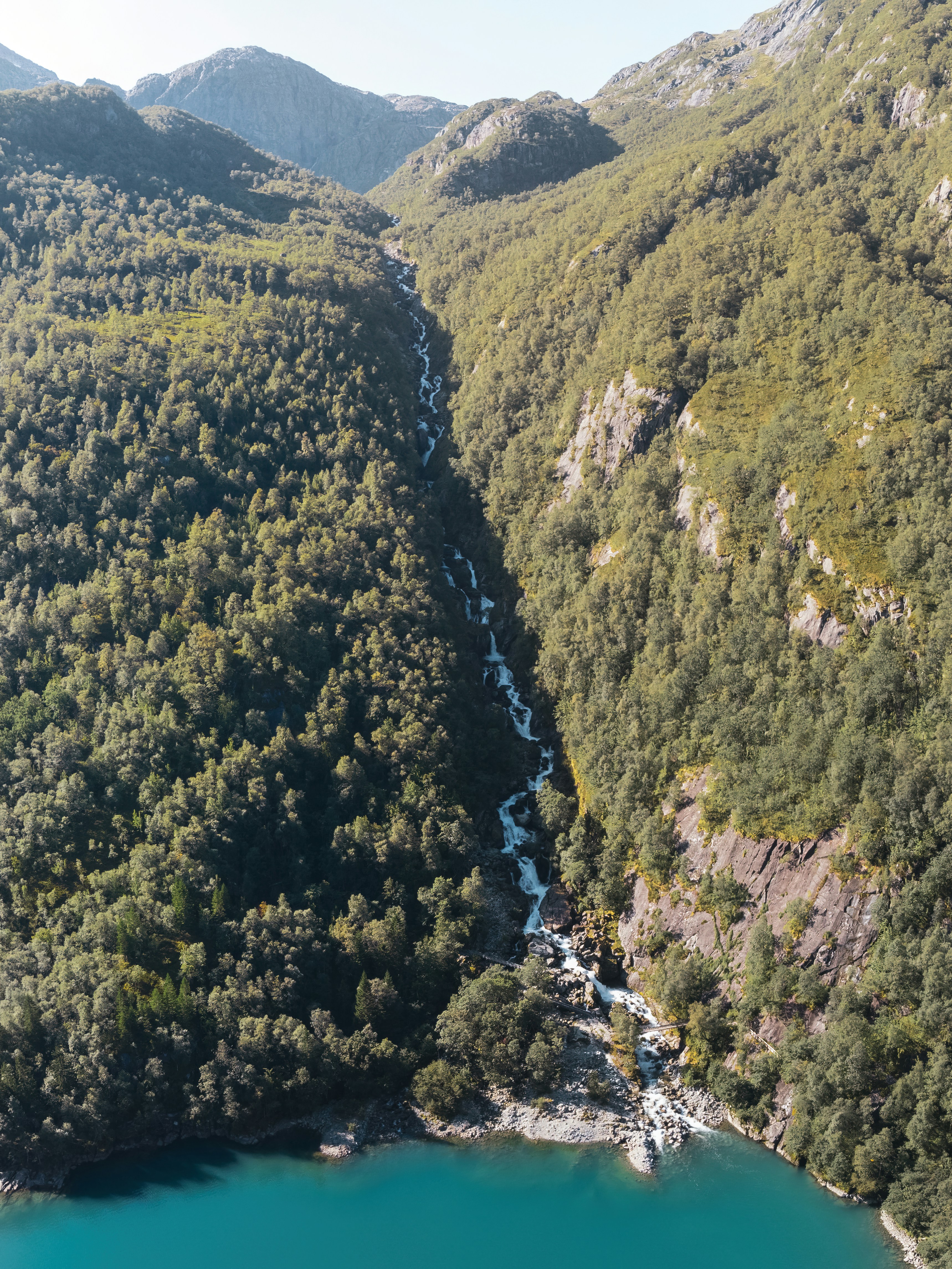 Une rivière qui coule à travers une forêt verdoyante photo – Photo ...