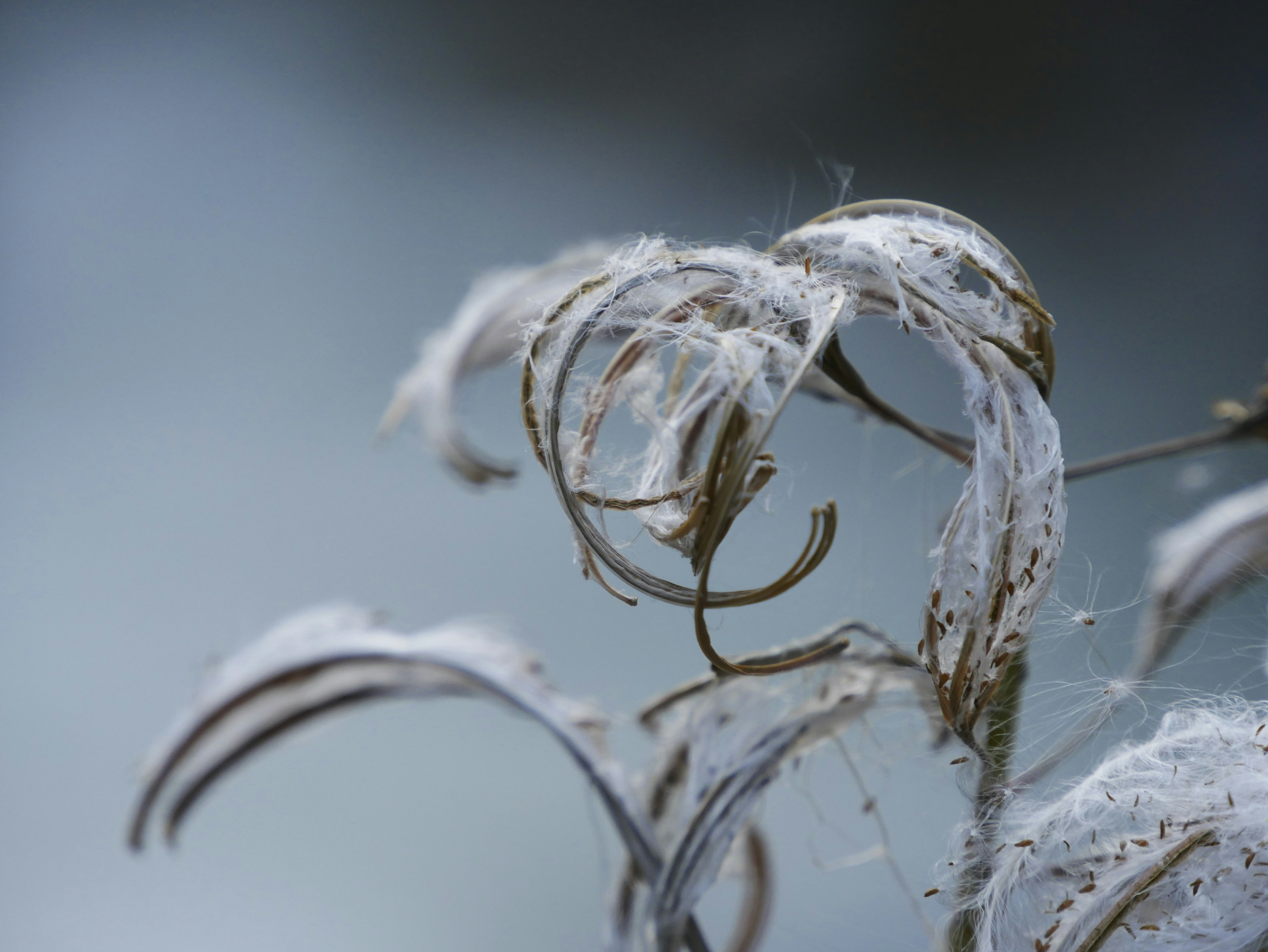 Photo by ben benjamin with Panasonic Lumix GX80