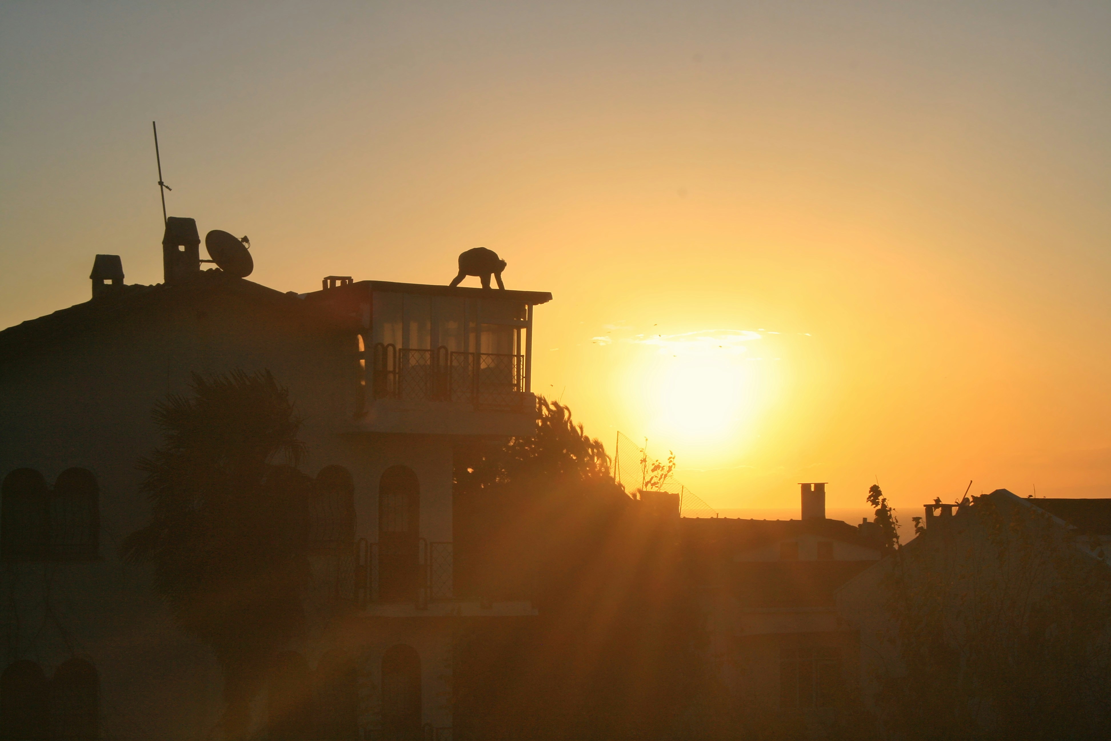 Silhouette of a figure atop a building against a vibrant sunset, highlighting the interplay of light and shadow. The scene evokes a sense of tranquility and contemplation.