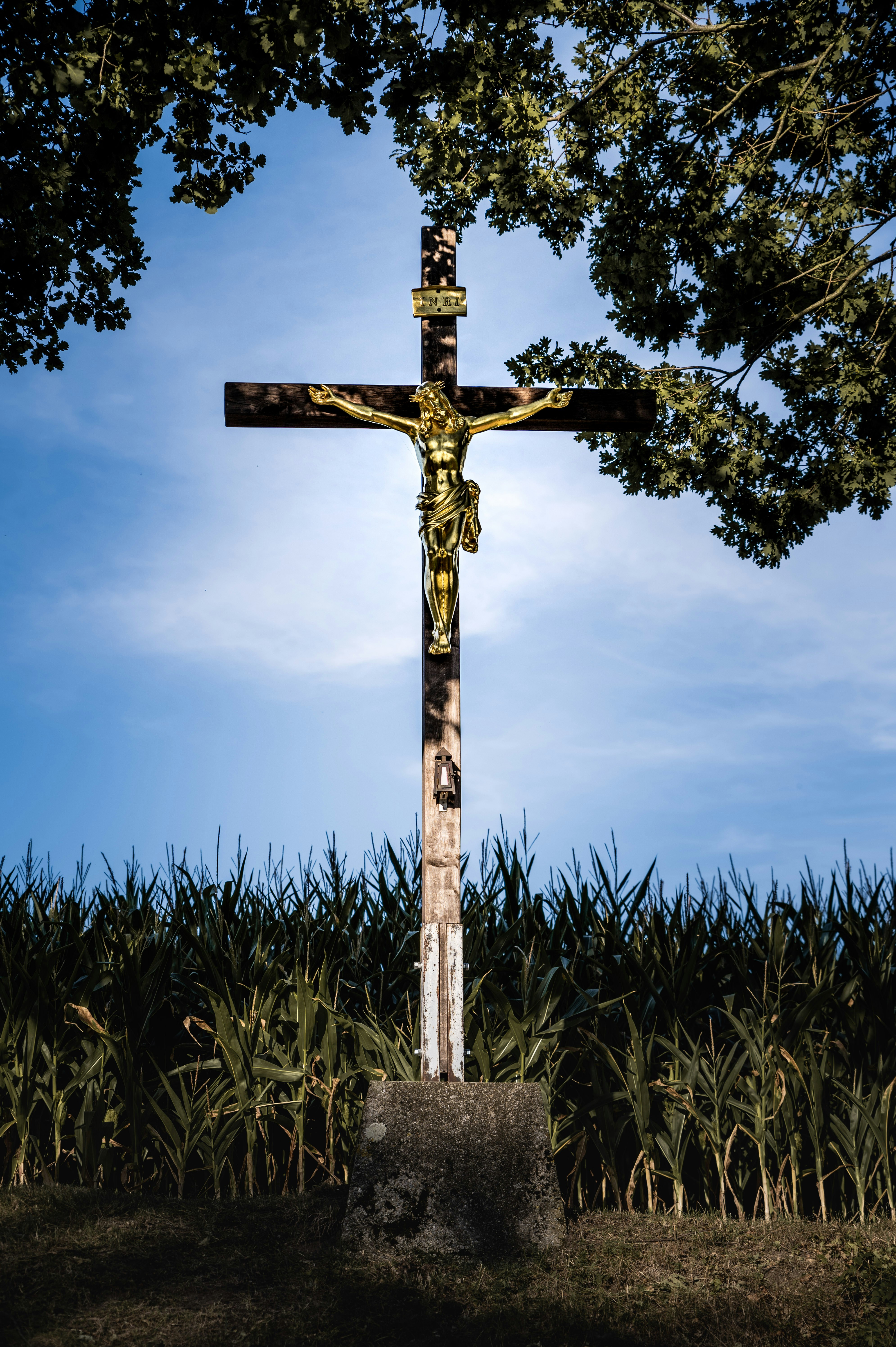 A cross in the middle of a corn field photo – Free Blue Image on Unsplash