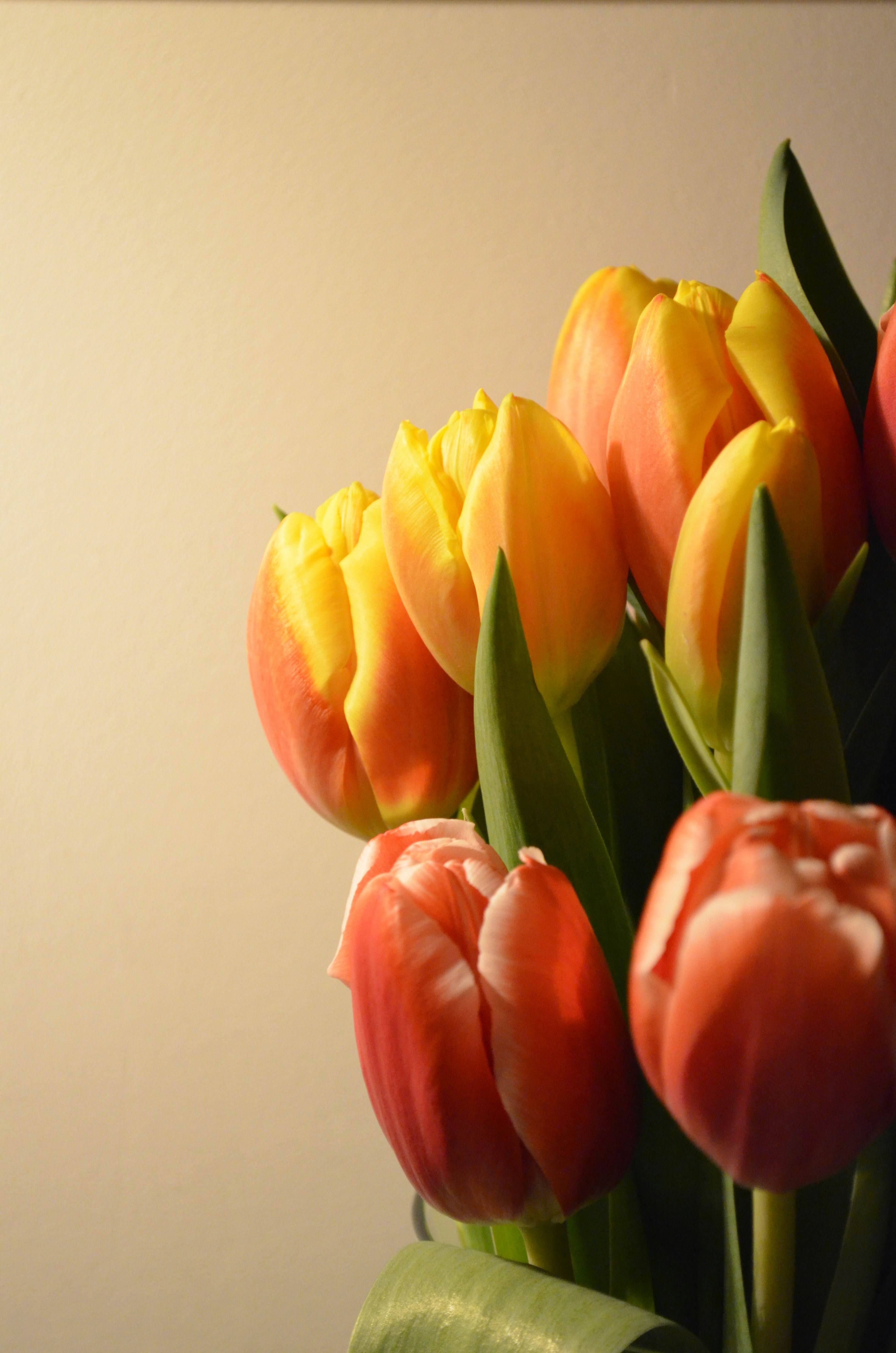 Bouquet of vibrant tulips in shades of red, yellow, and orange, showcasing their natural beauty against a soft background.