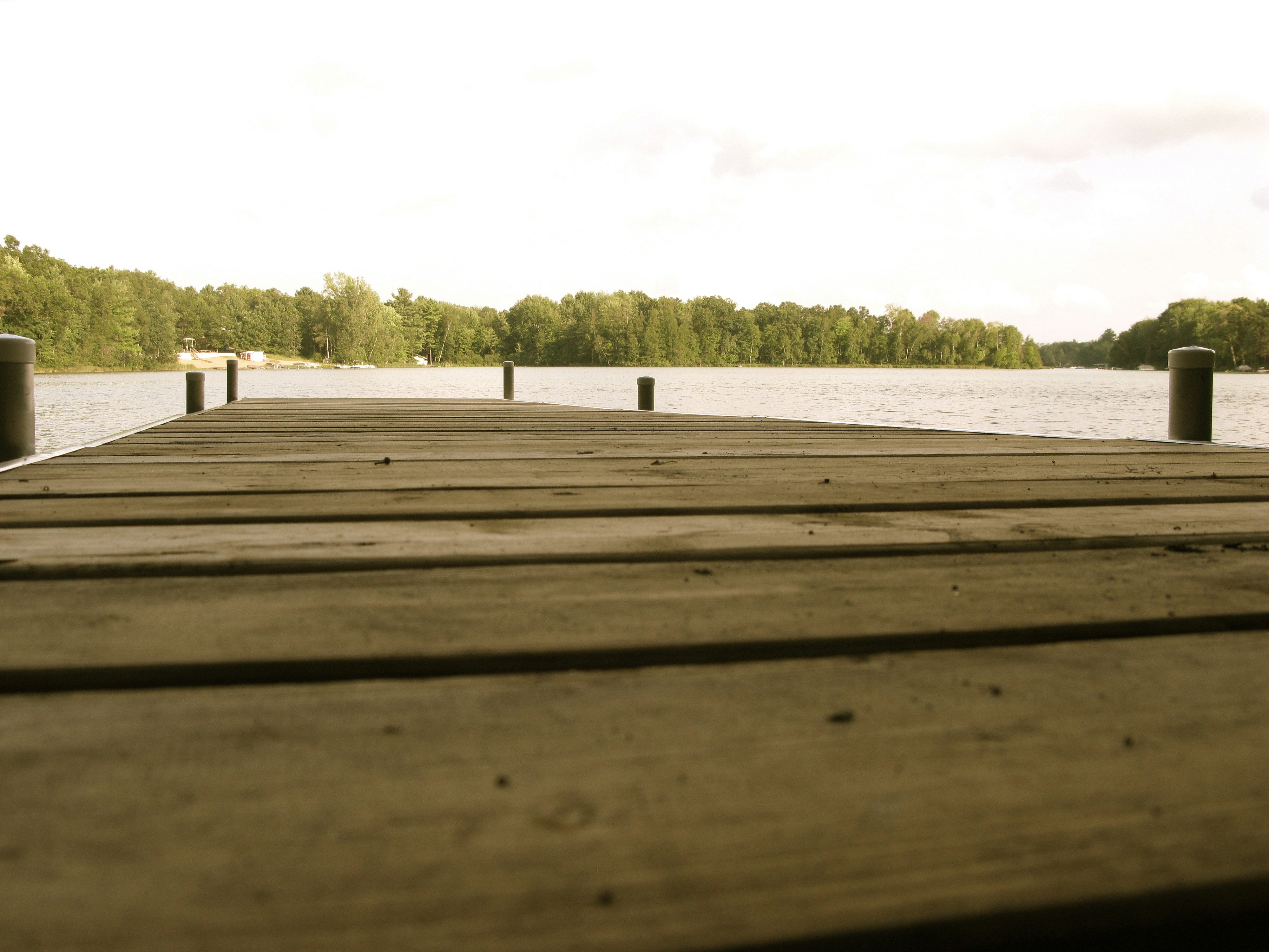 Wooden dock extending into a calm lake, framed by lush greenery under a soft, overcast sky.