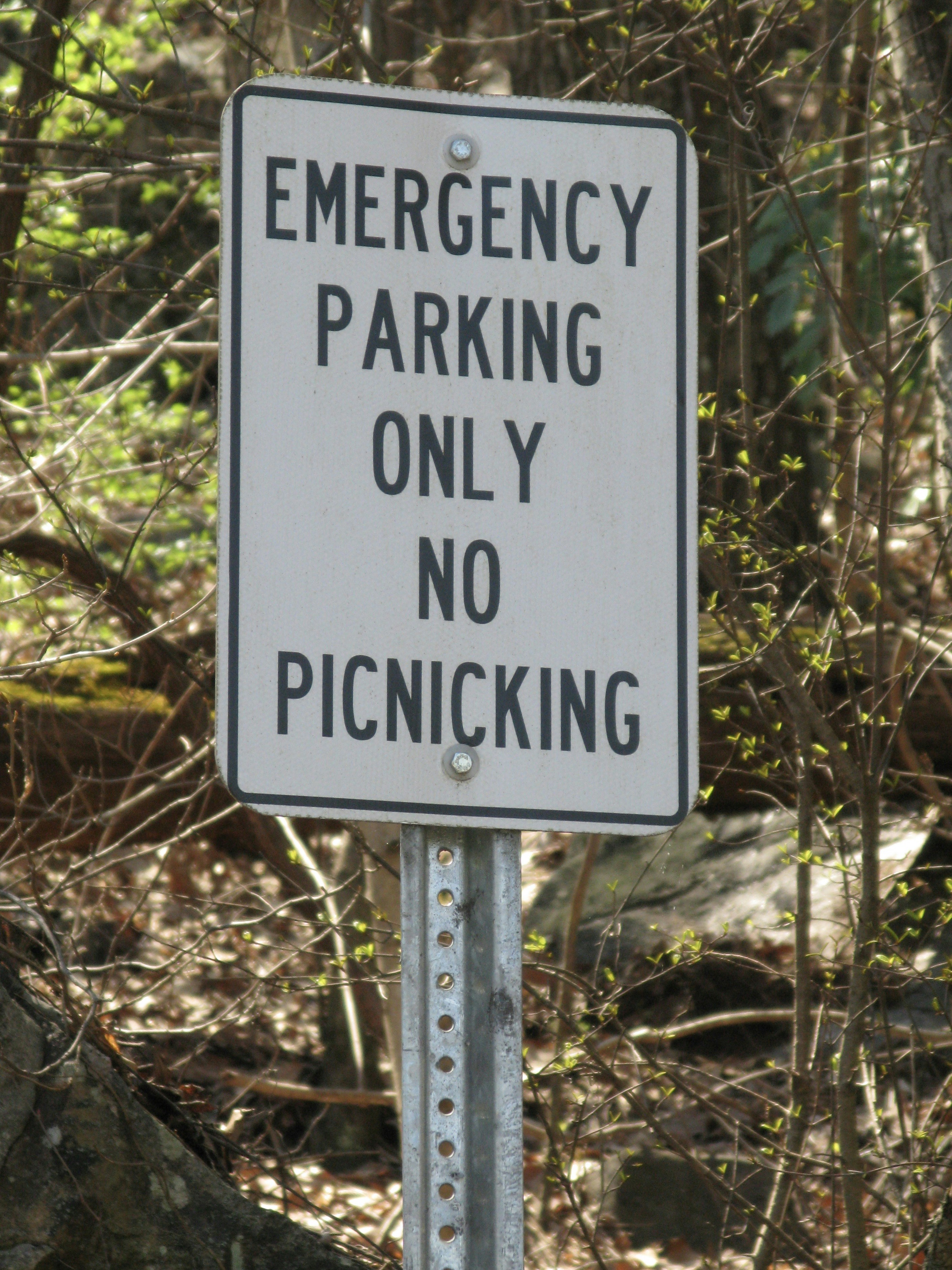 A weathered metal post supports a sign reading EMERGENCY PARKING ONLY NO PICNICING against a backdrop of tangled woods.
