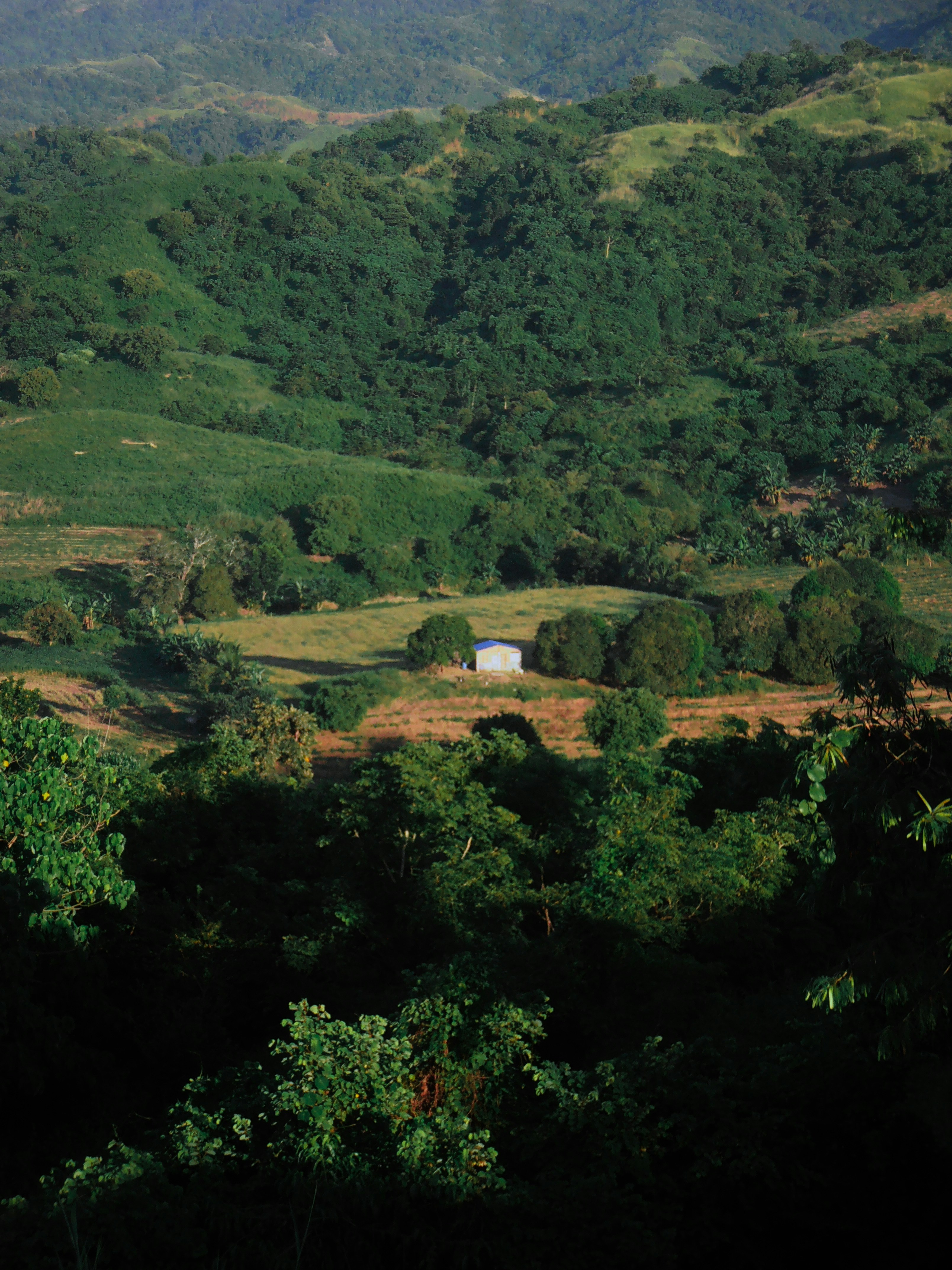 A secluded homestead nestled within lush green hills, surrounded by vibrant foliage and rolling terrain.