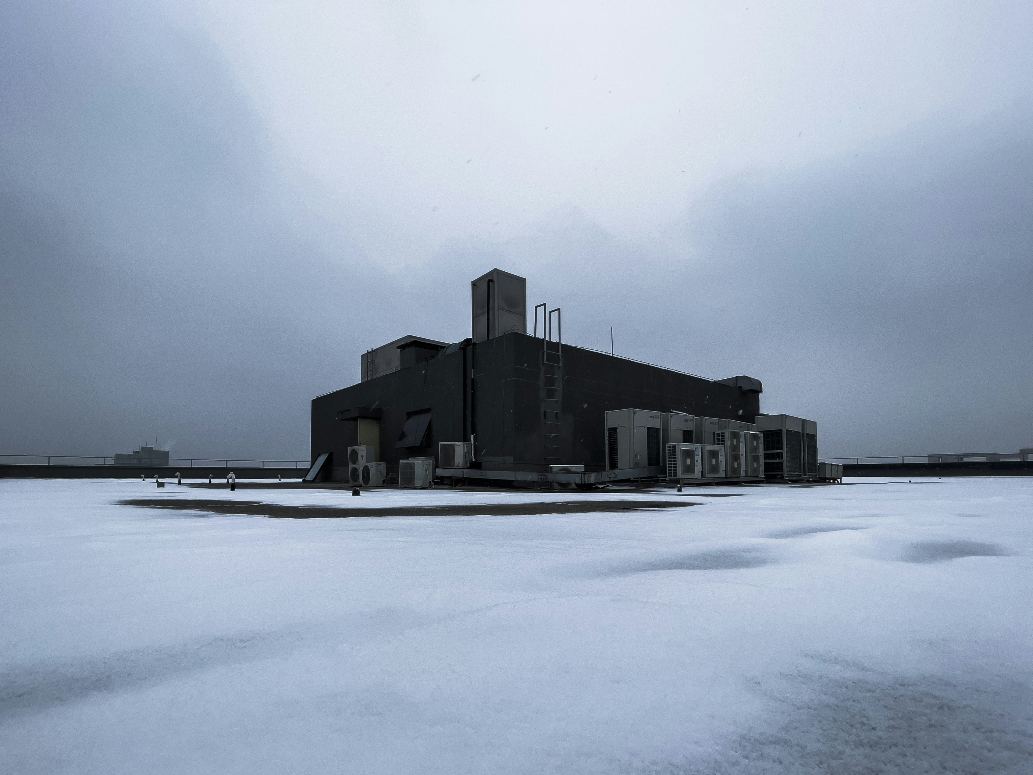 Frozen Sentinel: A Snowbound Rooftop under a Leaden Sky