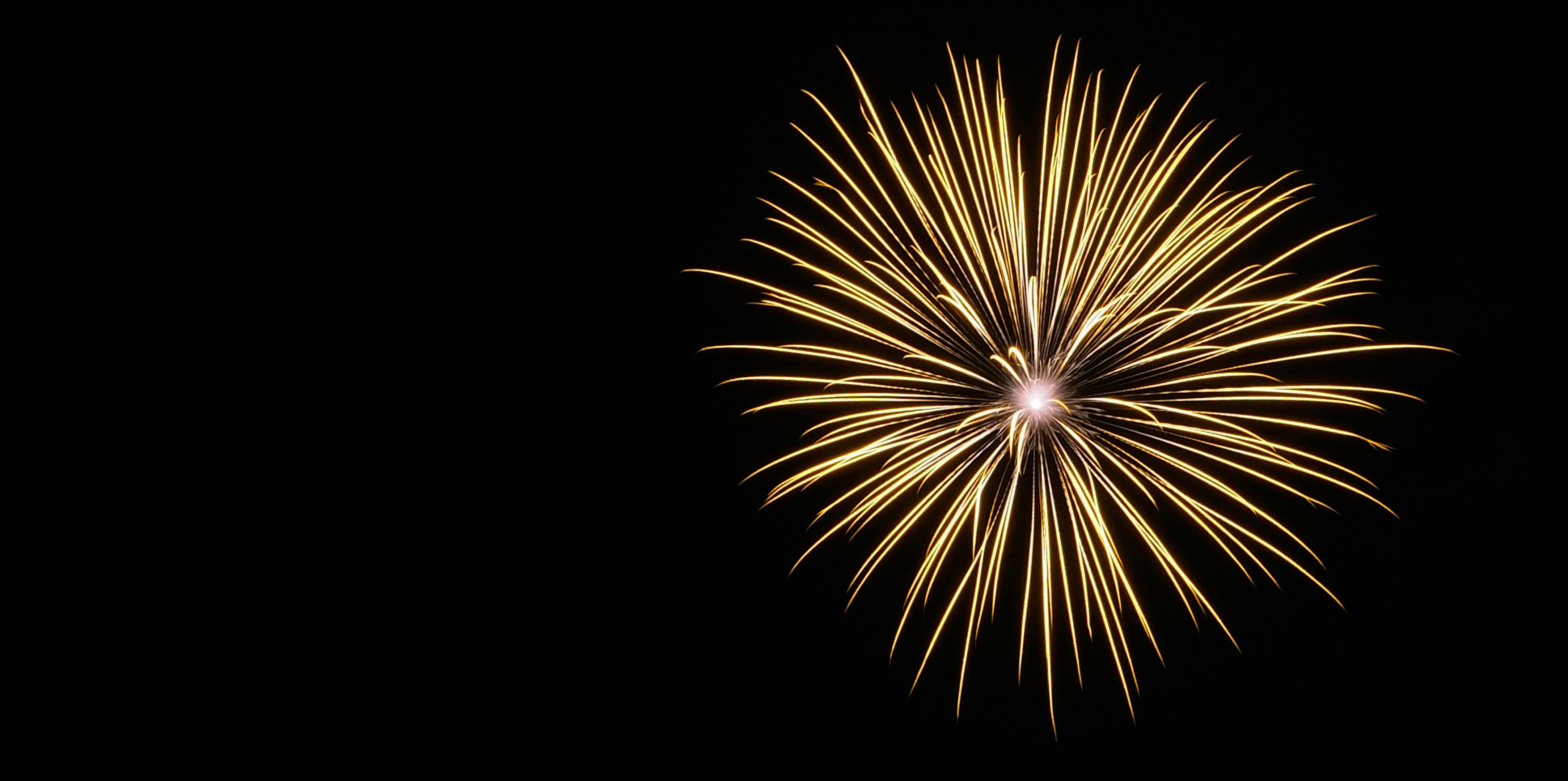 a large fireworks is lit up in the night sky