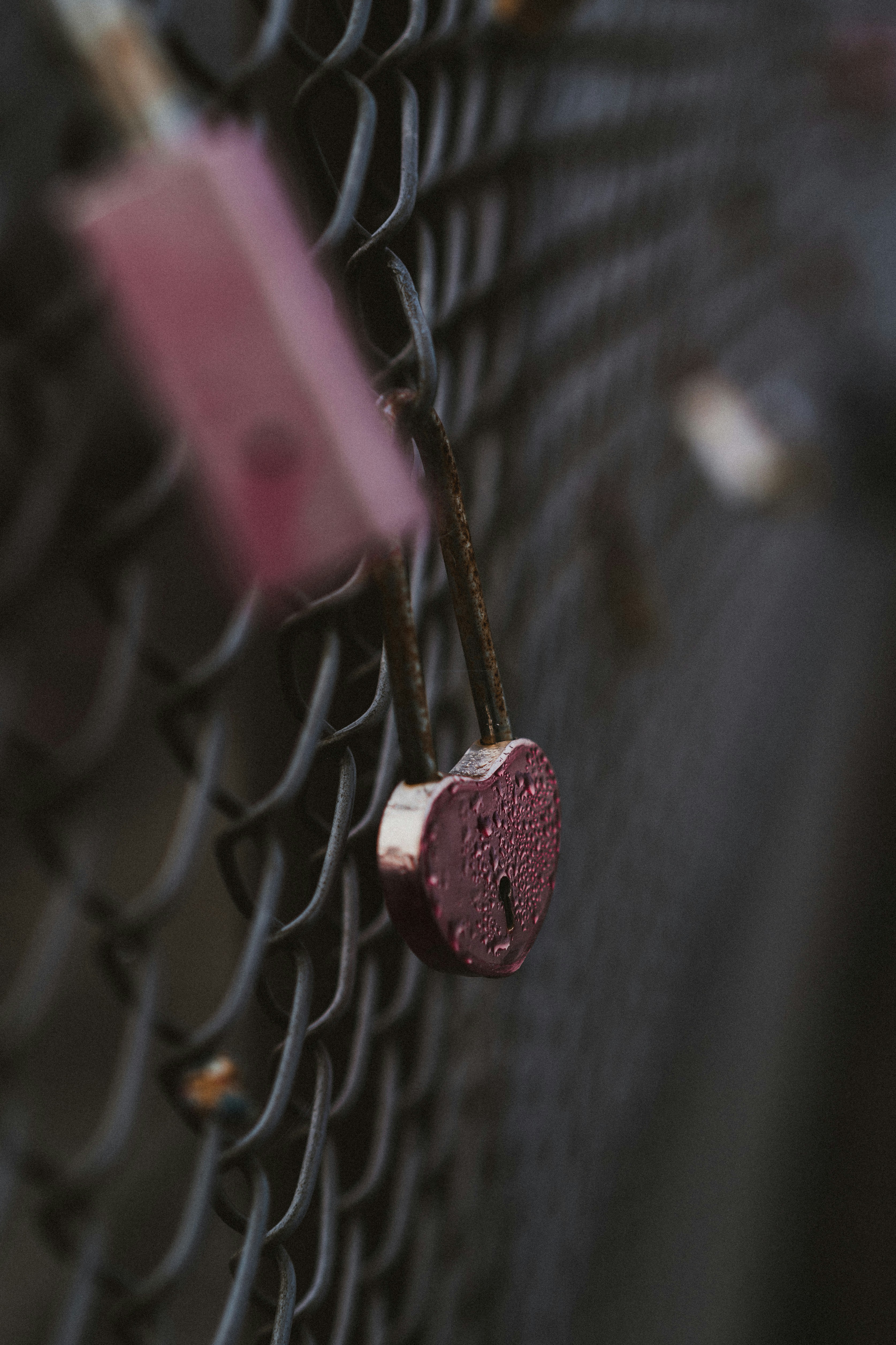 Photo by Cate Brodersen with Sony Alpha 7R III