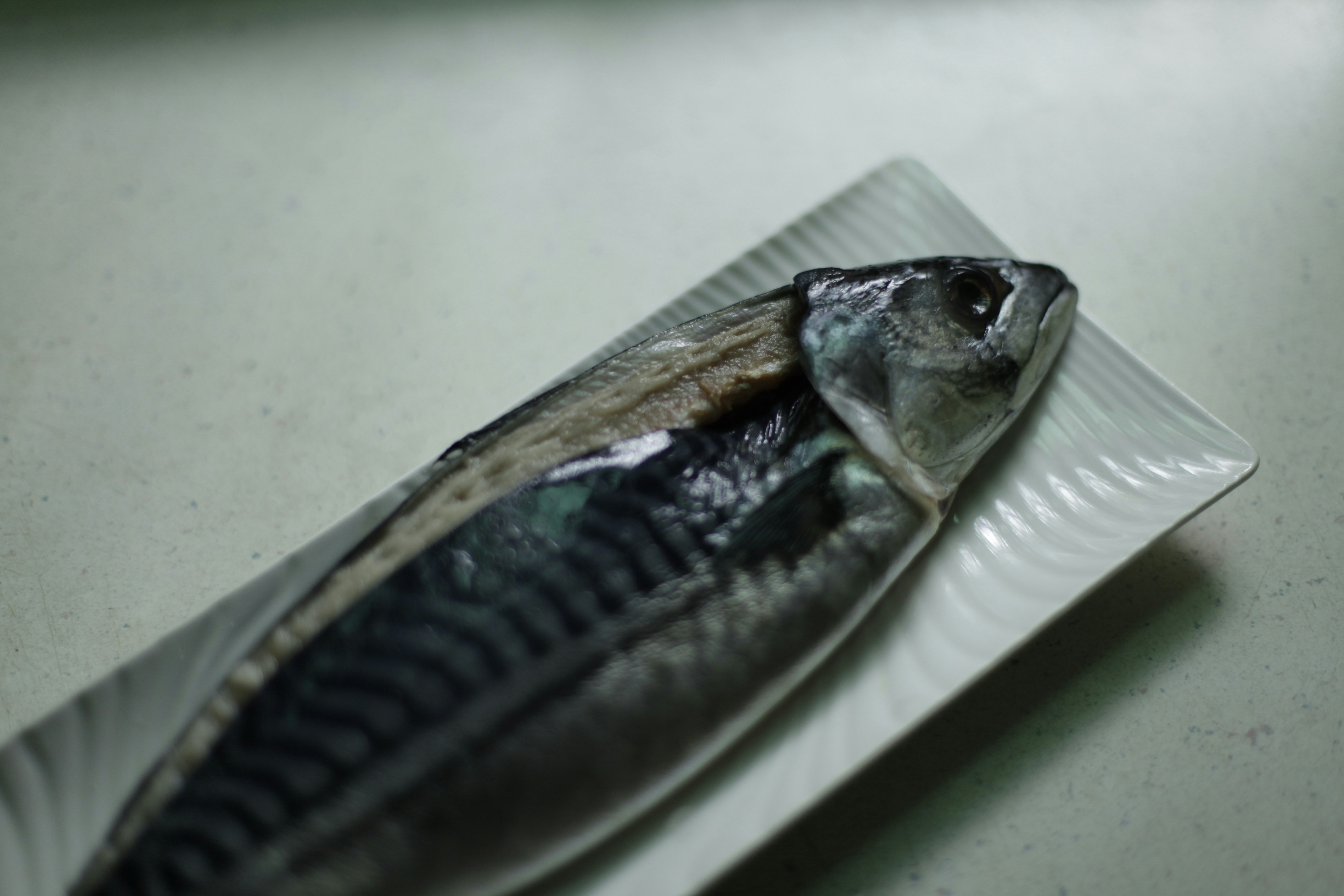 Head of the Catch on a Ribbed Plate