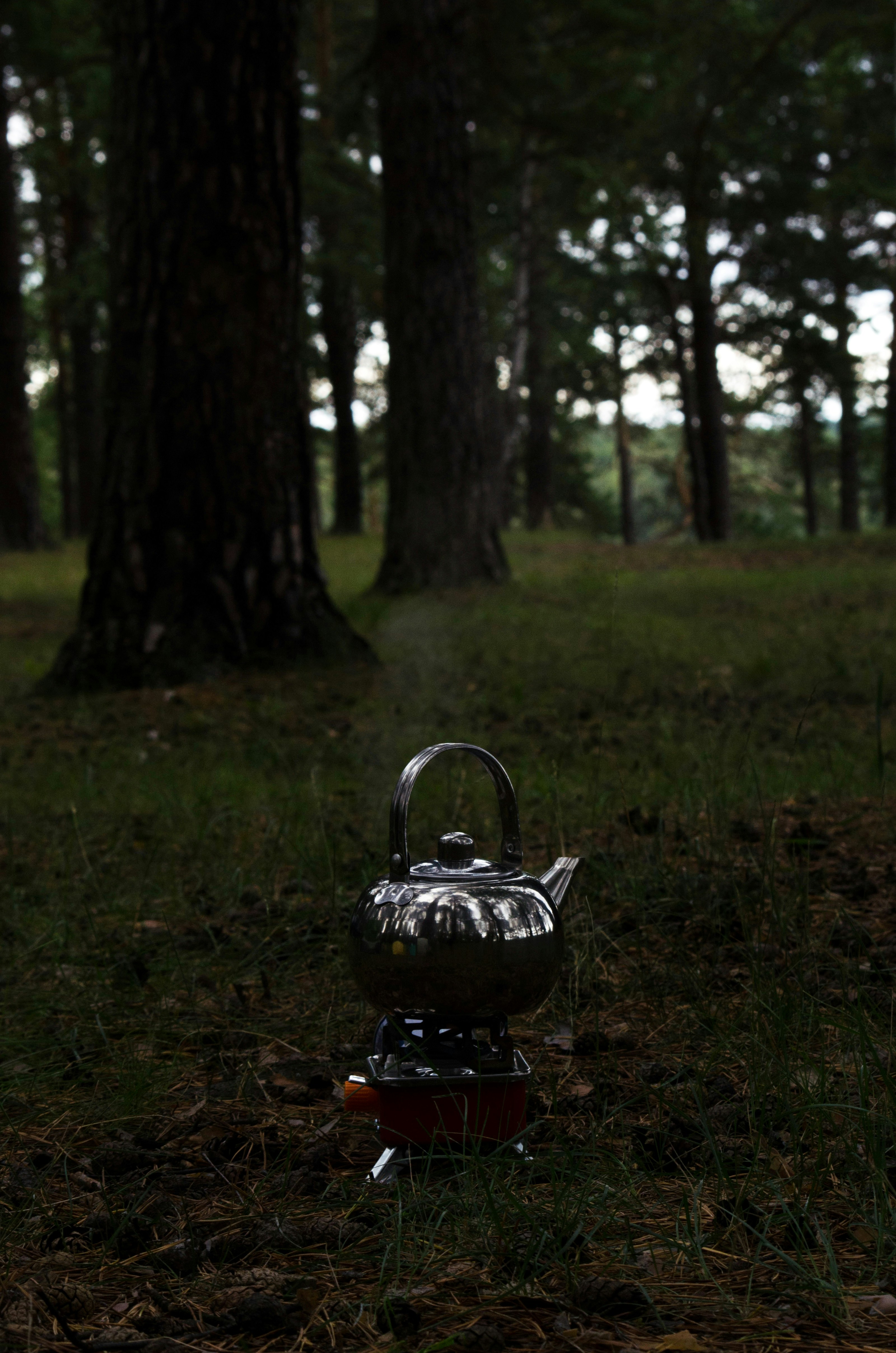 A tea kettle sitting in the middle of a forest photo – Free Itkul ...