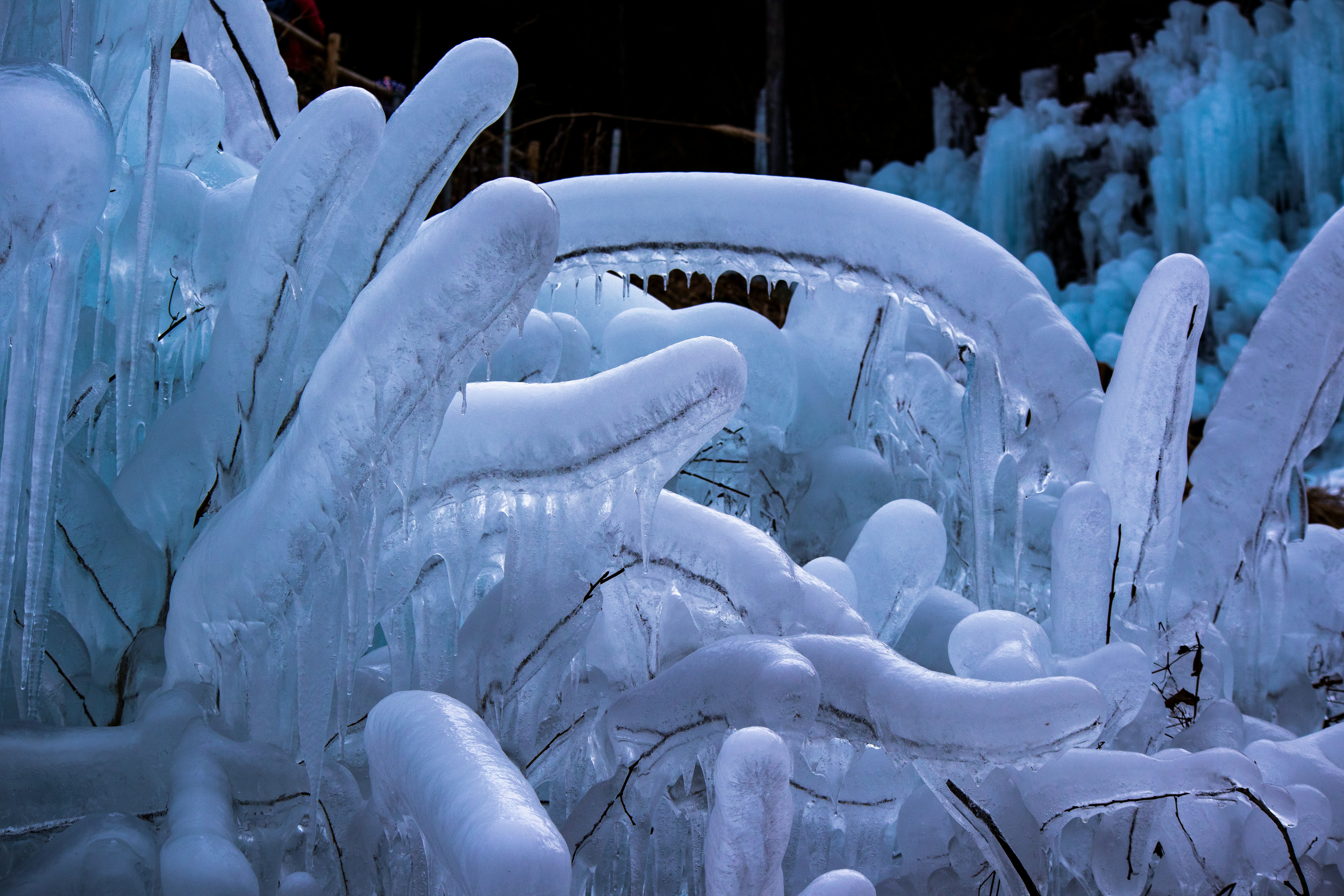 Glacial Flutter: Icicles Weaving a Frozen Tangle