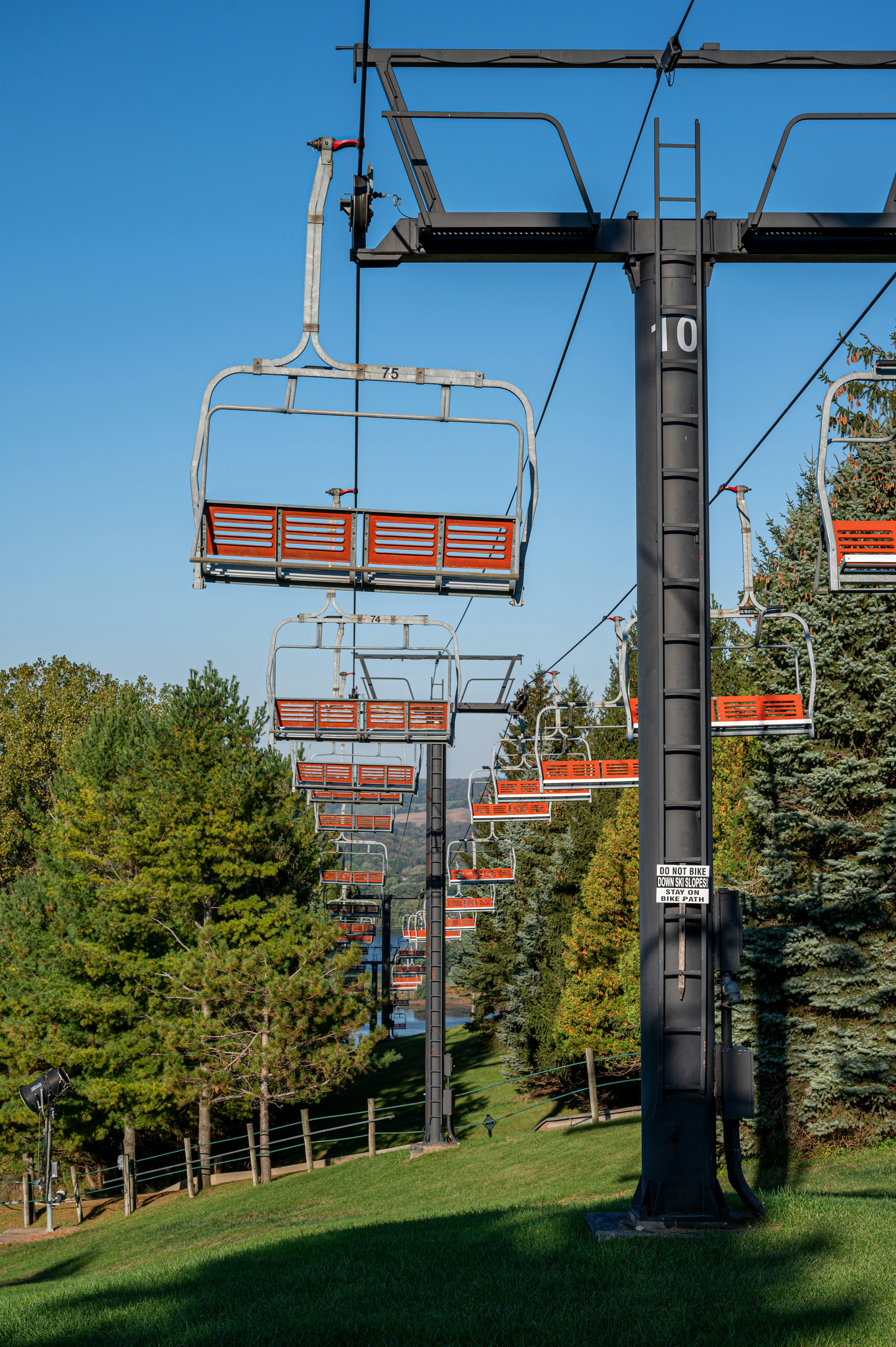 Orange Chairs Ferry Through a Pine Ridge Under a Cerulean Sky