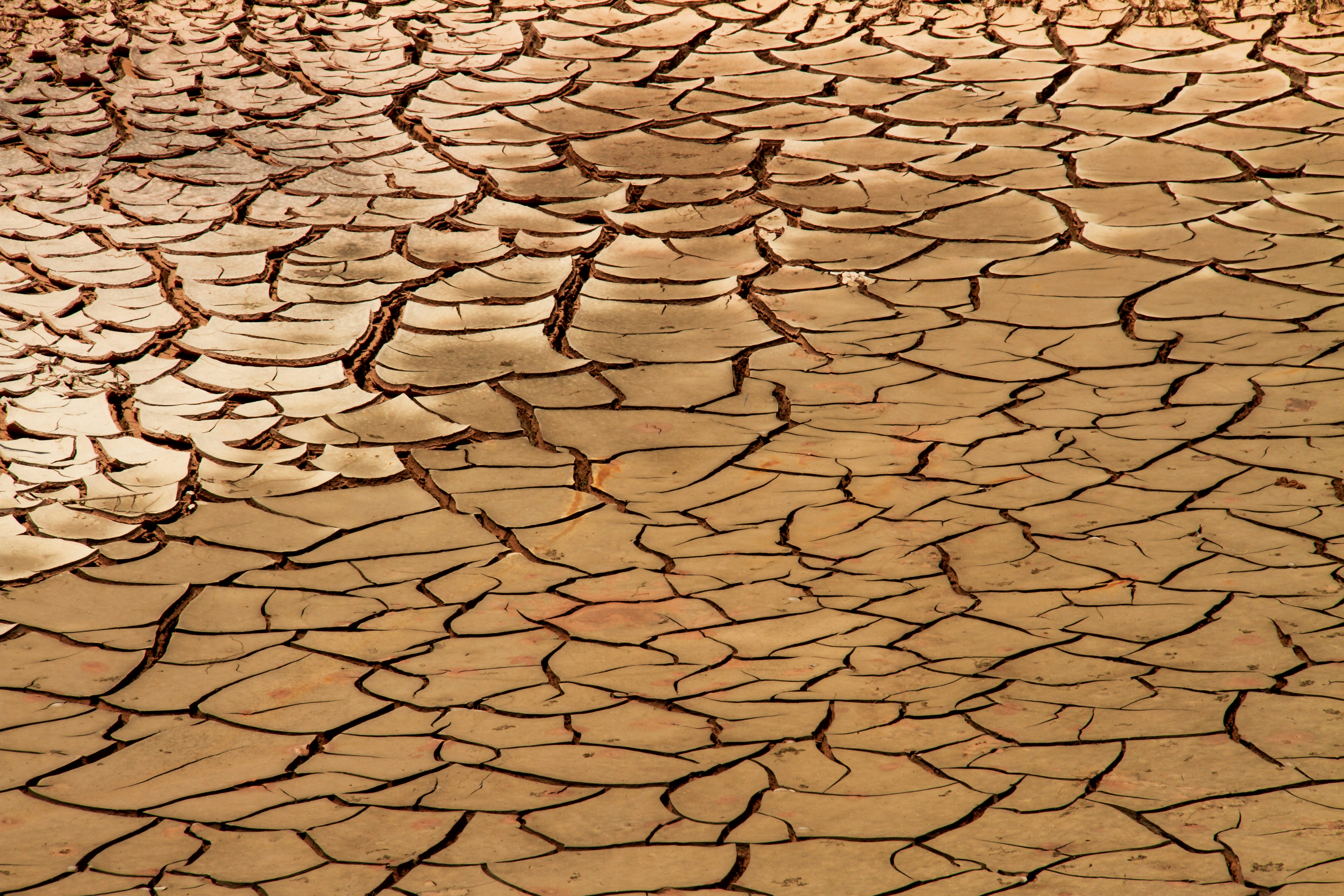 Dry, cracked earth showcasing intricate patterns formed by drought. The texture highlights the harsh realities of climate change.