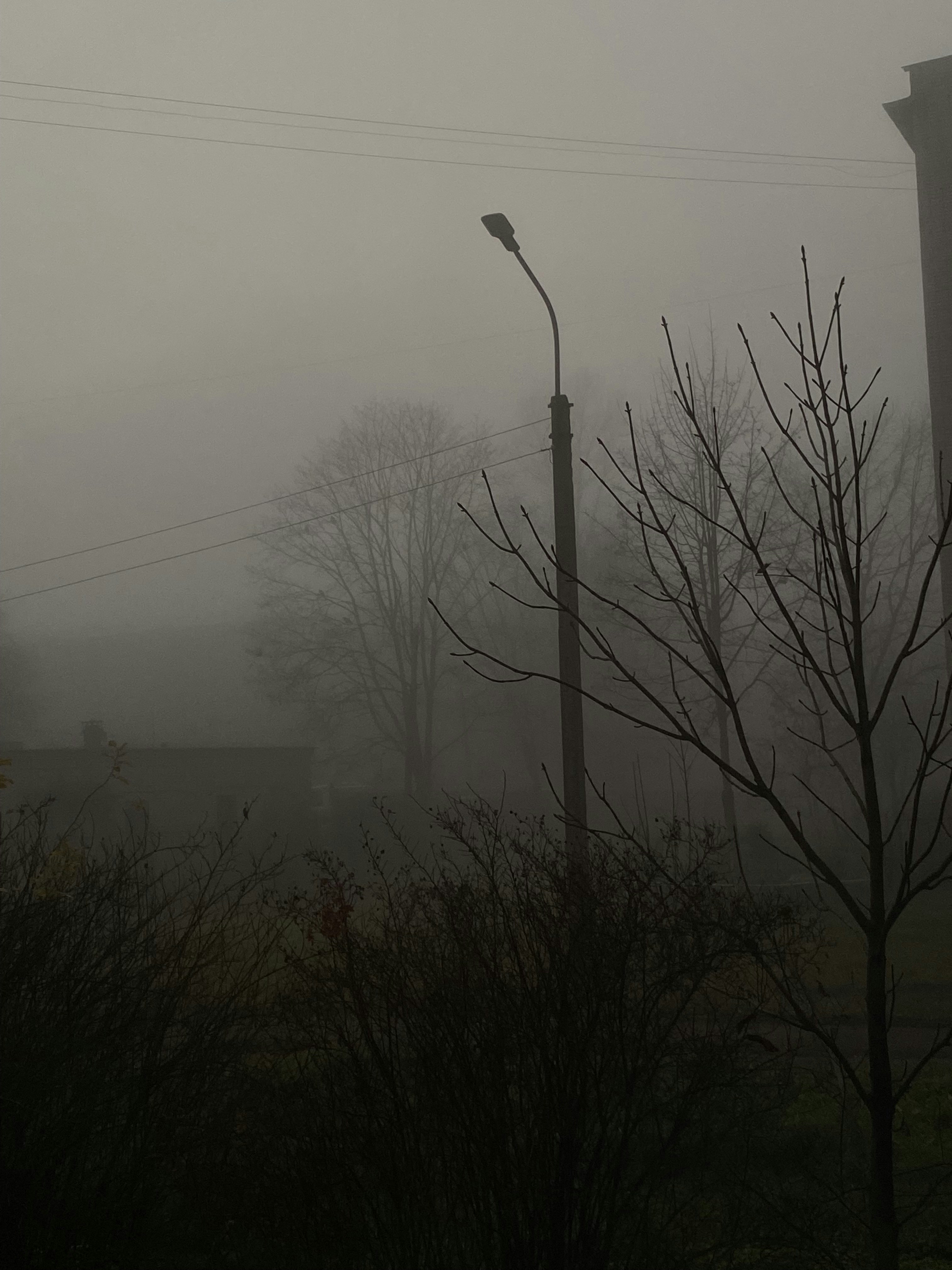 Fogbound Sentinel: The Lone Streetlamp Amid a Veil of Silence