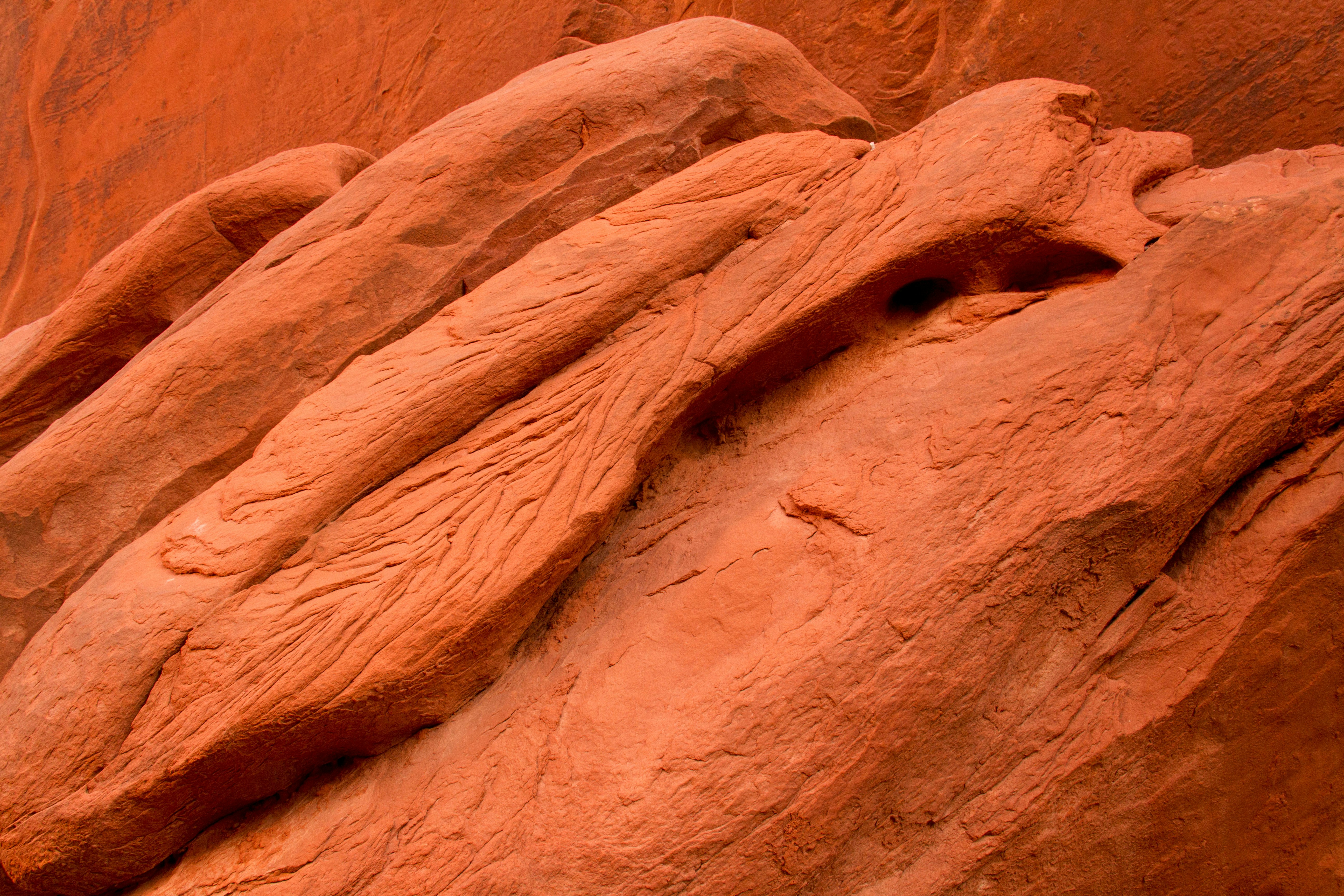 Intricate red rock formations reveal the textures and layers of the earth's surface, showcasing nature's artistry. The vivid colors emphasize the geological history of the landscape.