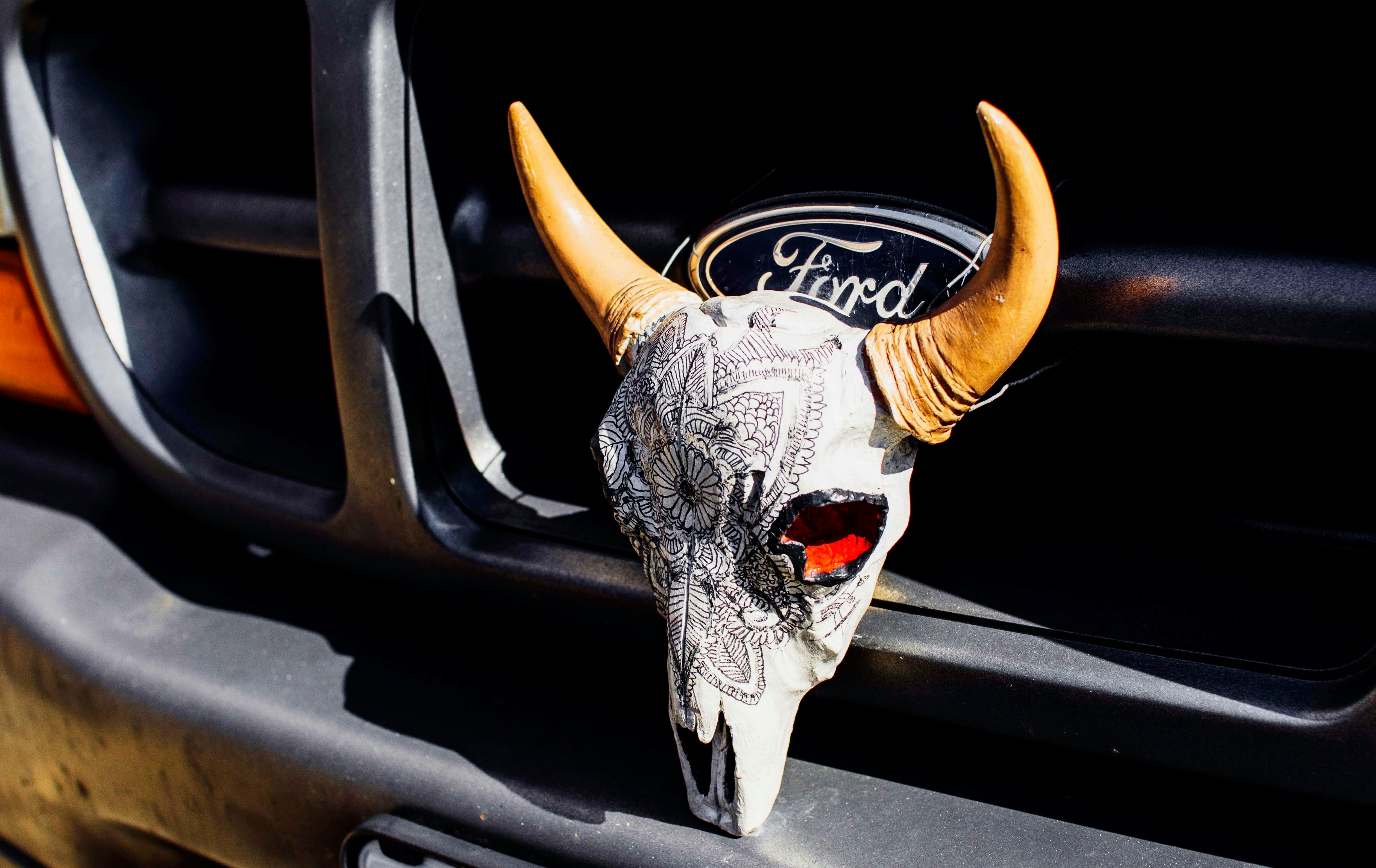 Car grill emblem