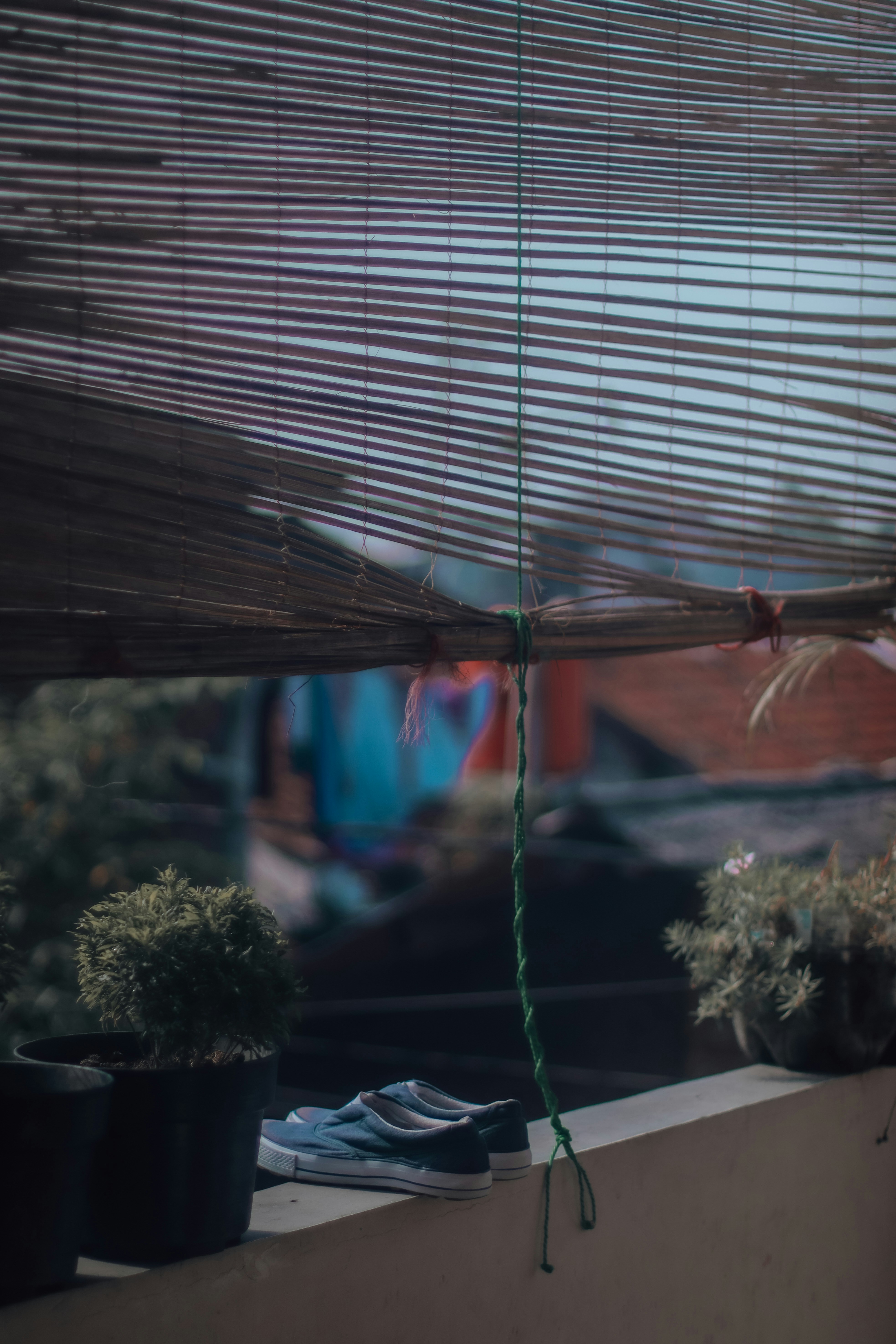 The Green Knot on a Quiet Balcony