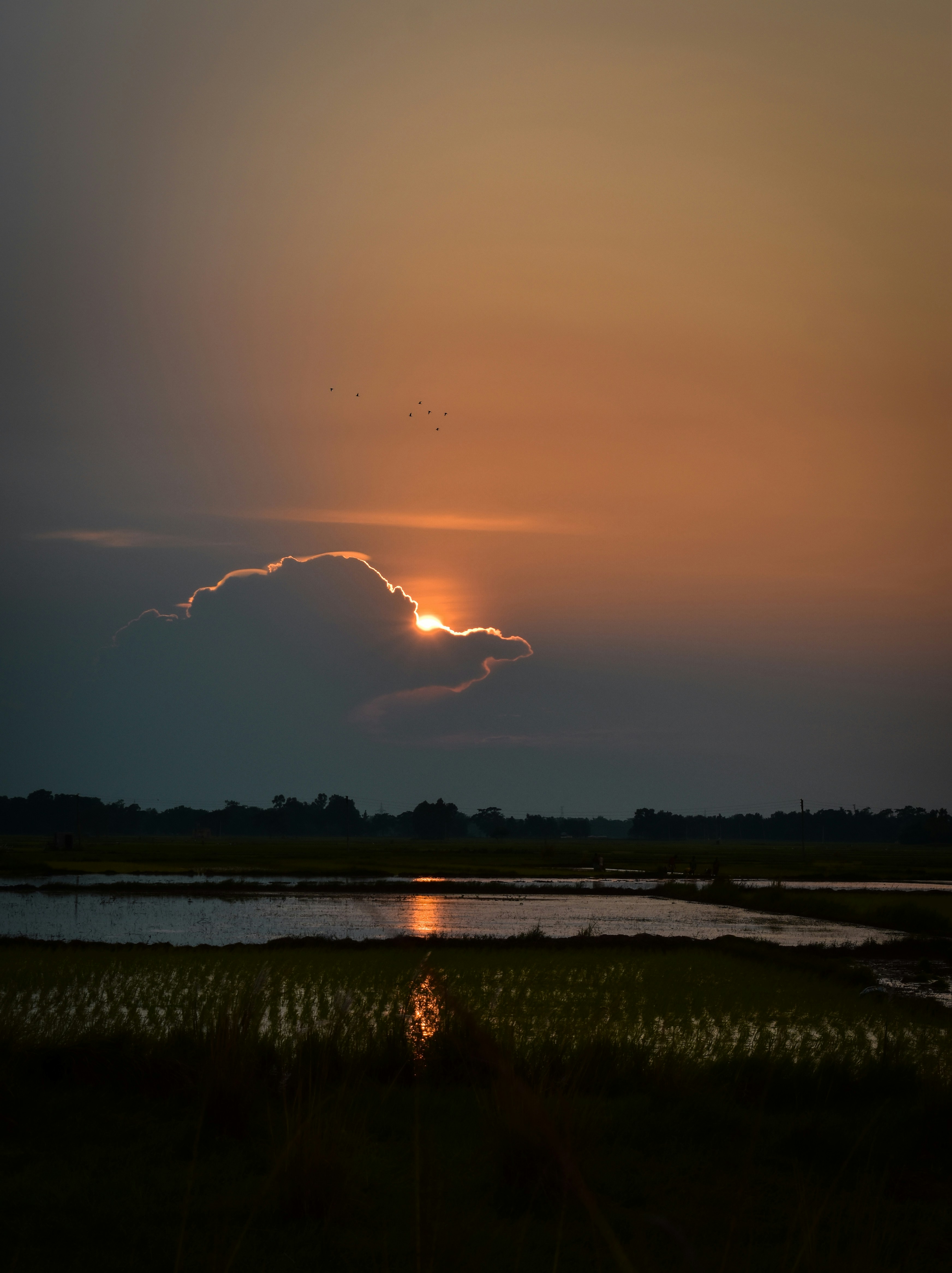 Edge of Light Over a Quiet Marsh at Dusk