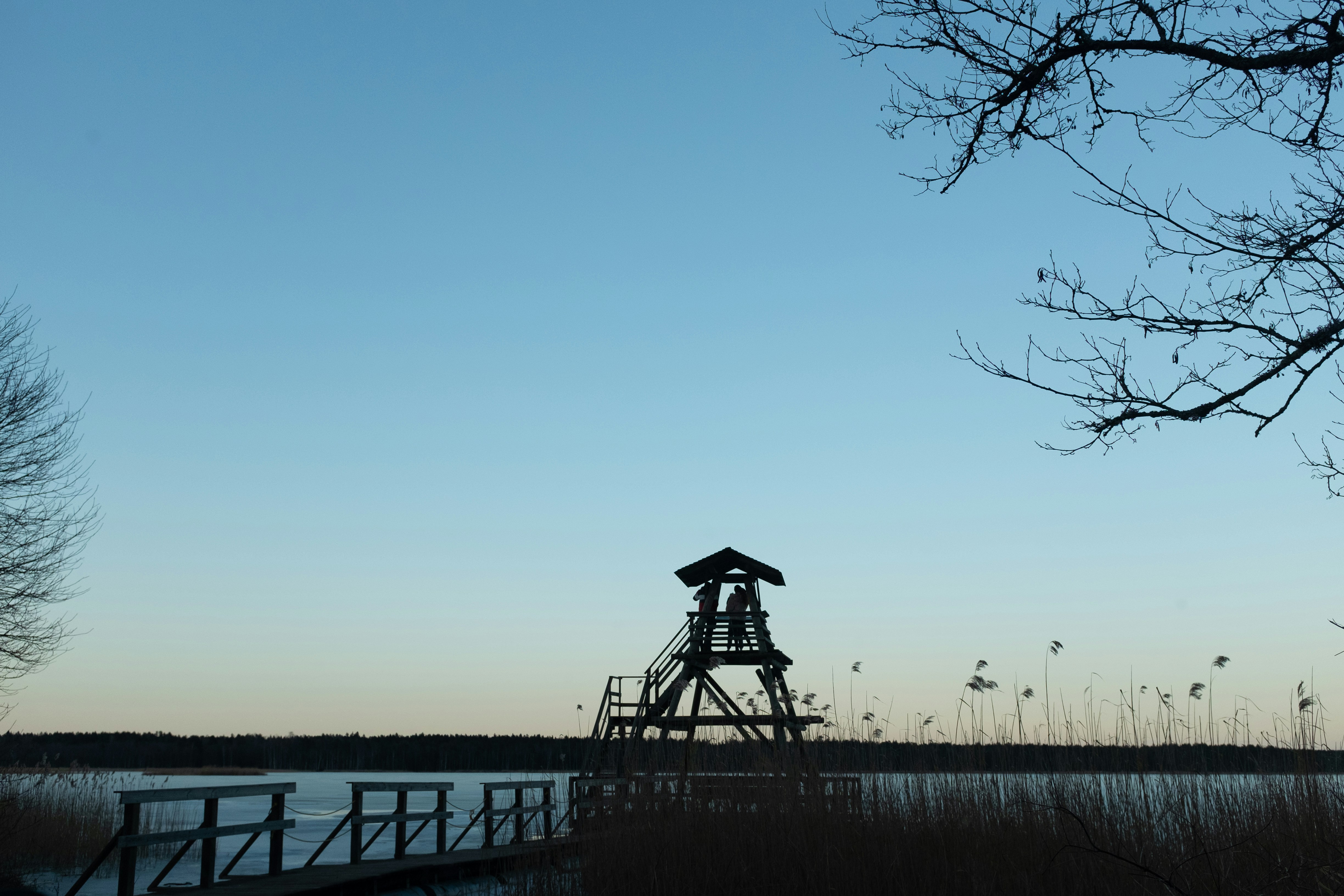 Dusk Silhouette: Timber Lookout Over a Quiet Lake
