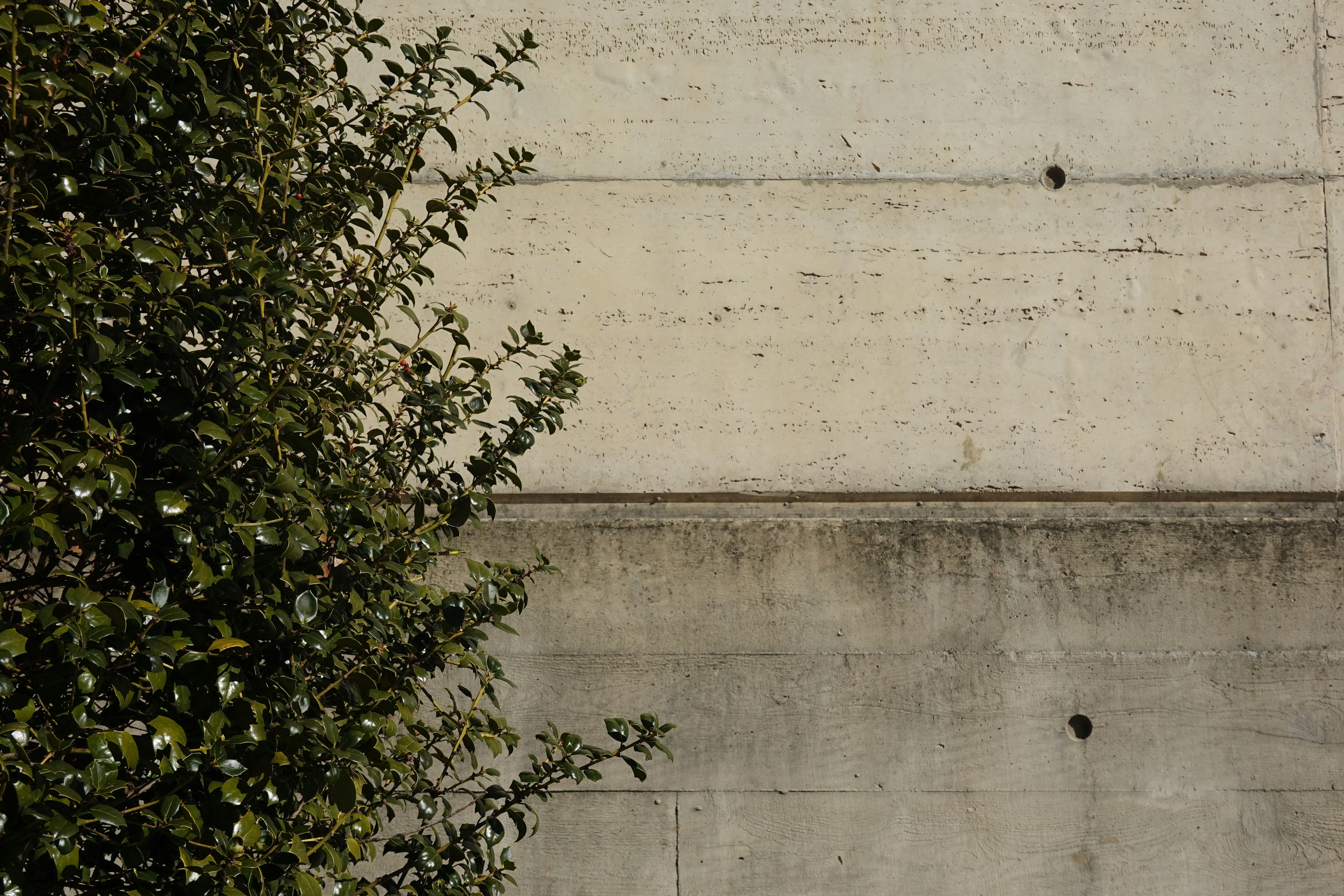 A clock on the side of a building next to a tree photo – Free ...