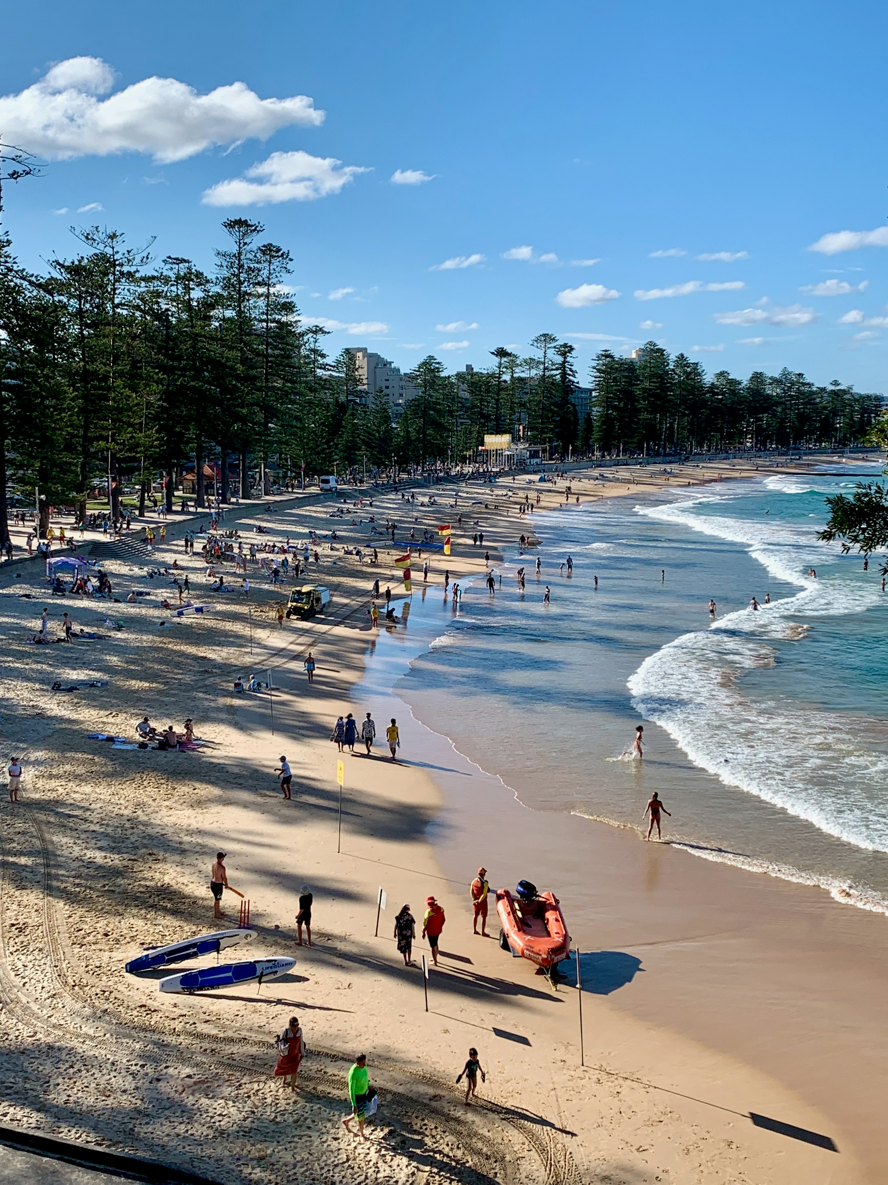 Vibrant beach scene with sunbathers, swimmers, and surfers enjoying a sunny day by the ocean. Lush trees line the shore, adding to the picturesque landscape.