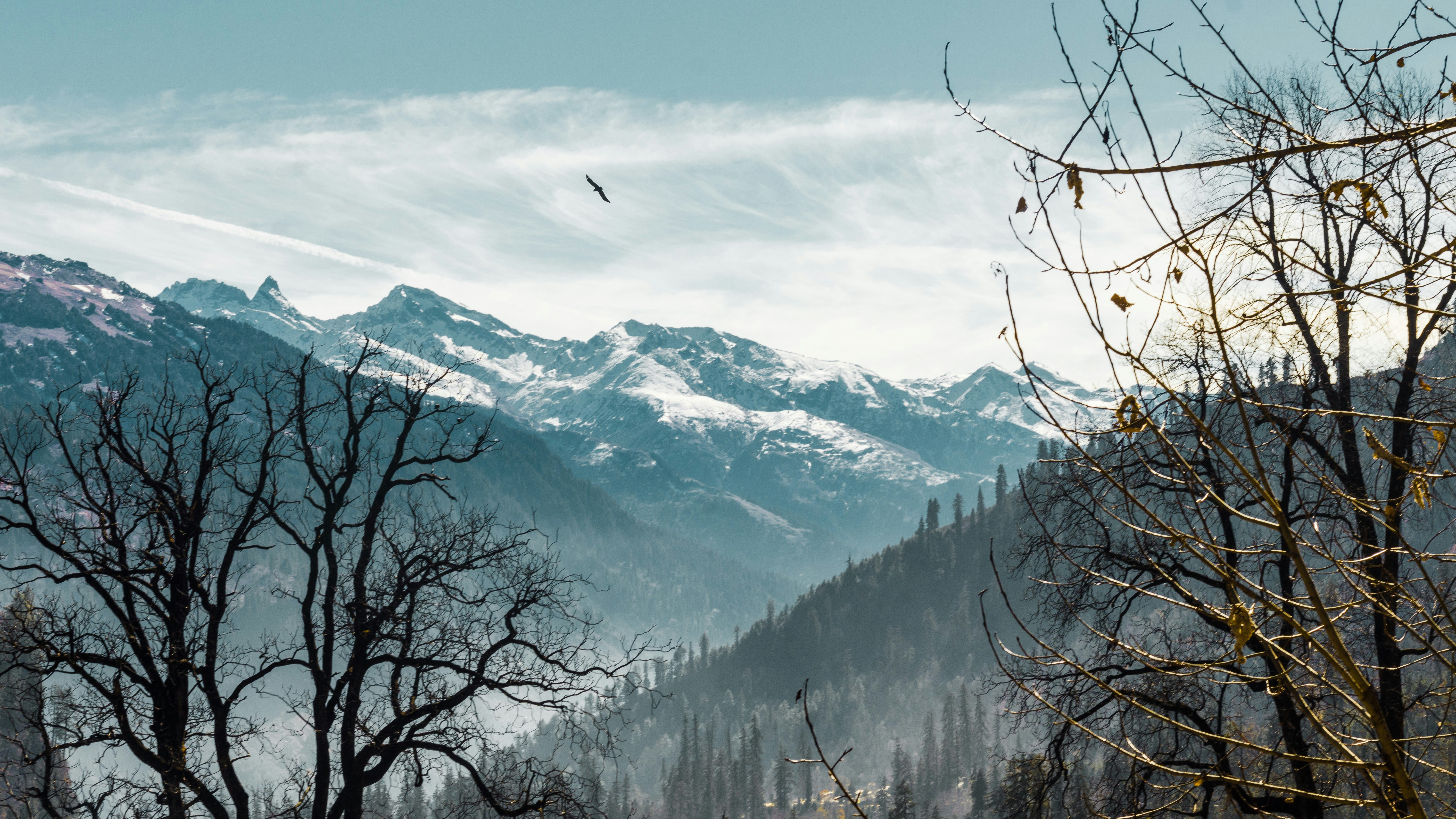 Solo Flight Over Snowbound Alps: Silent Winter Panorama