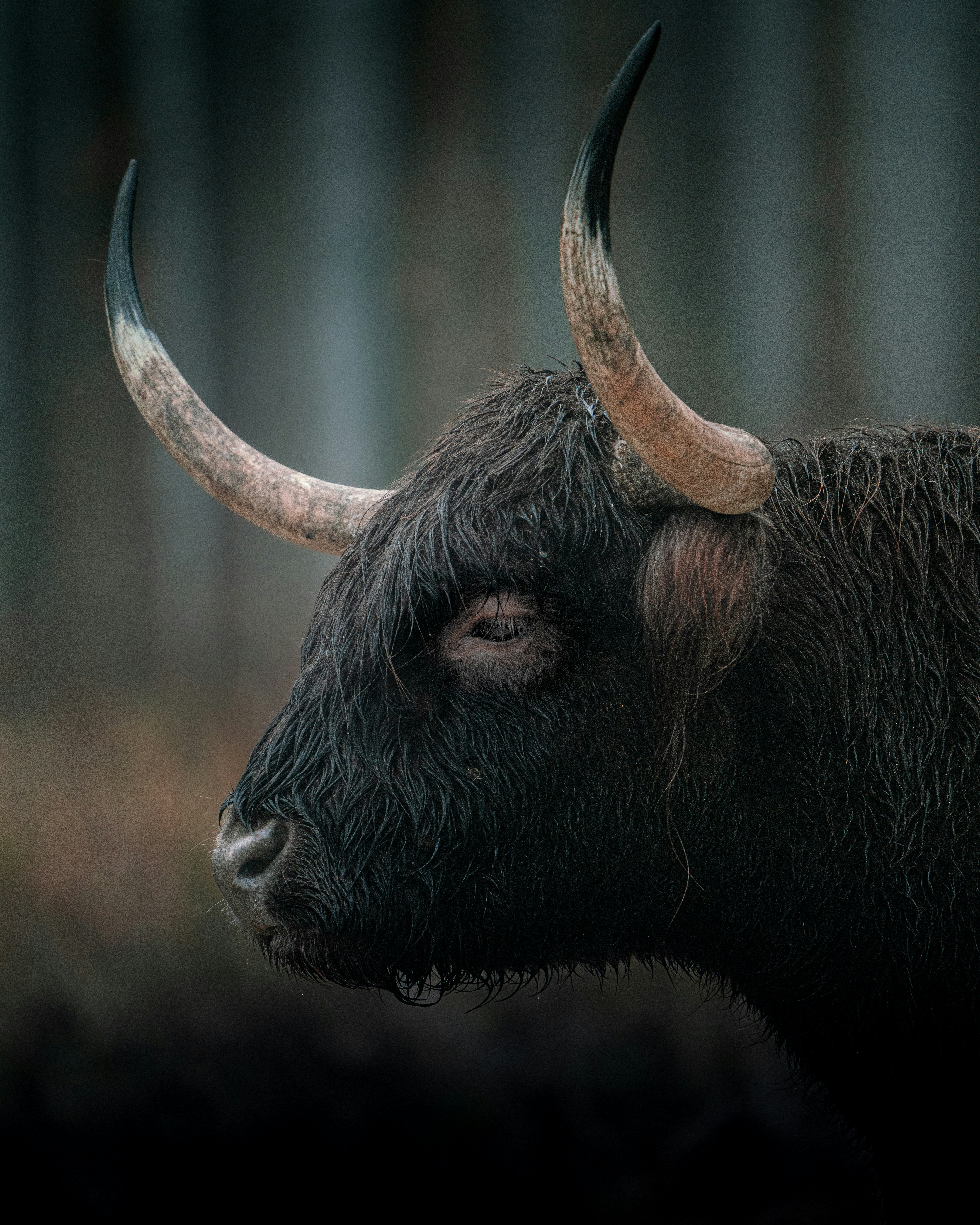 Photo by Viktor Mischke with Sony Alpha 7R II