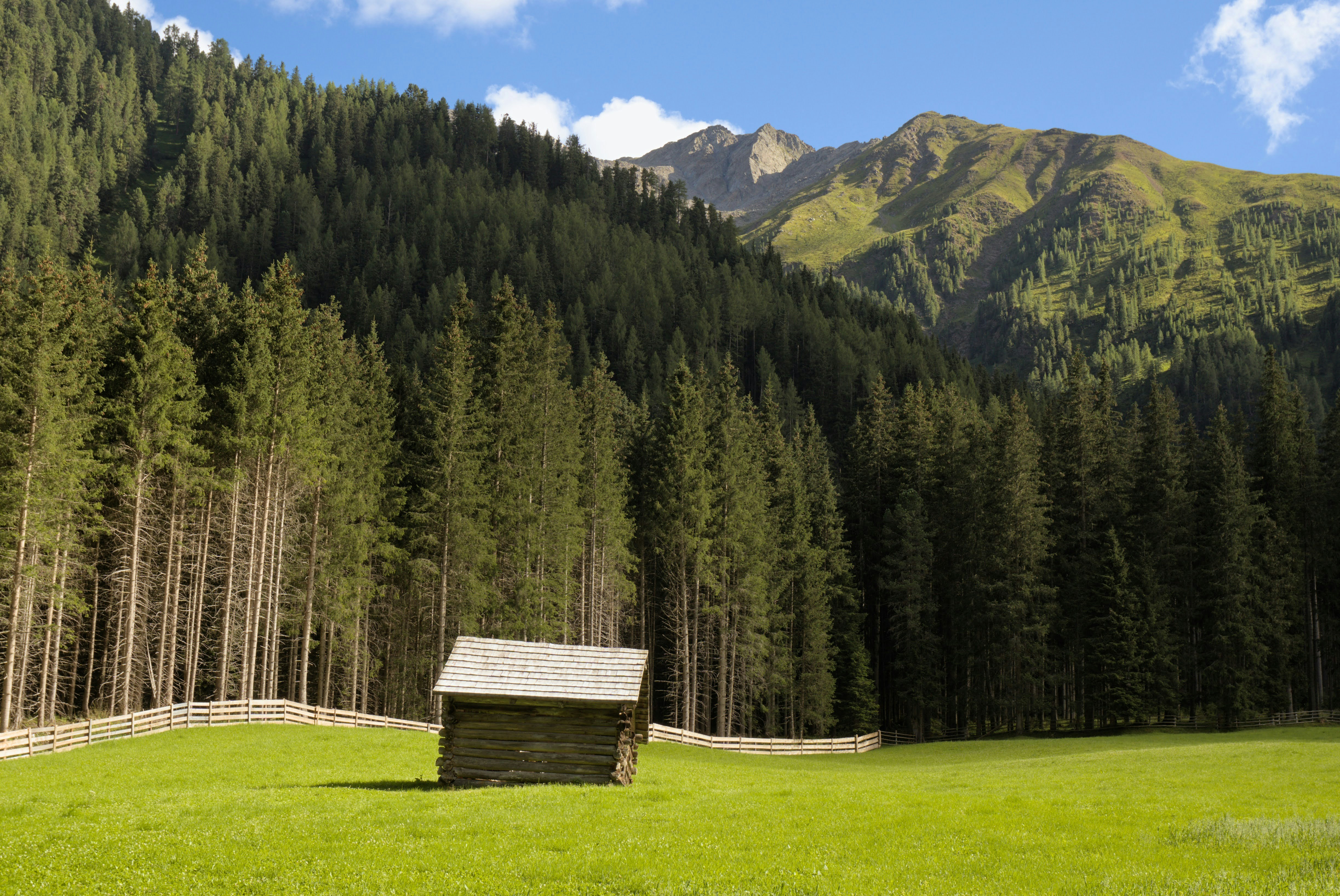A rustic cabin stands alone in a lush green meadow, surrounded by towering pine trees and majestic mountains under a clear blue sky.