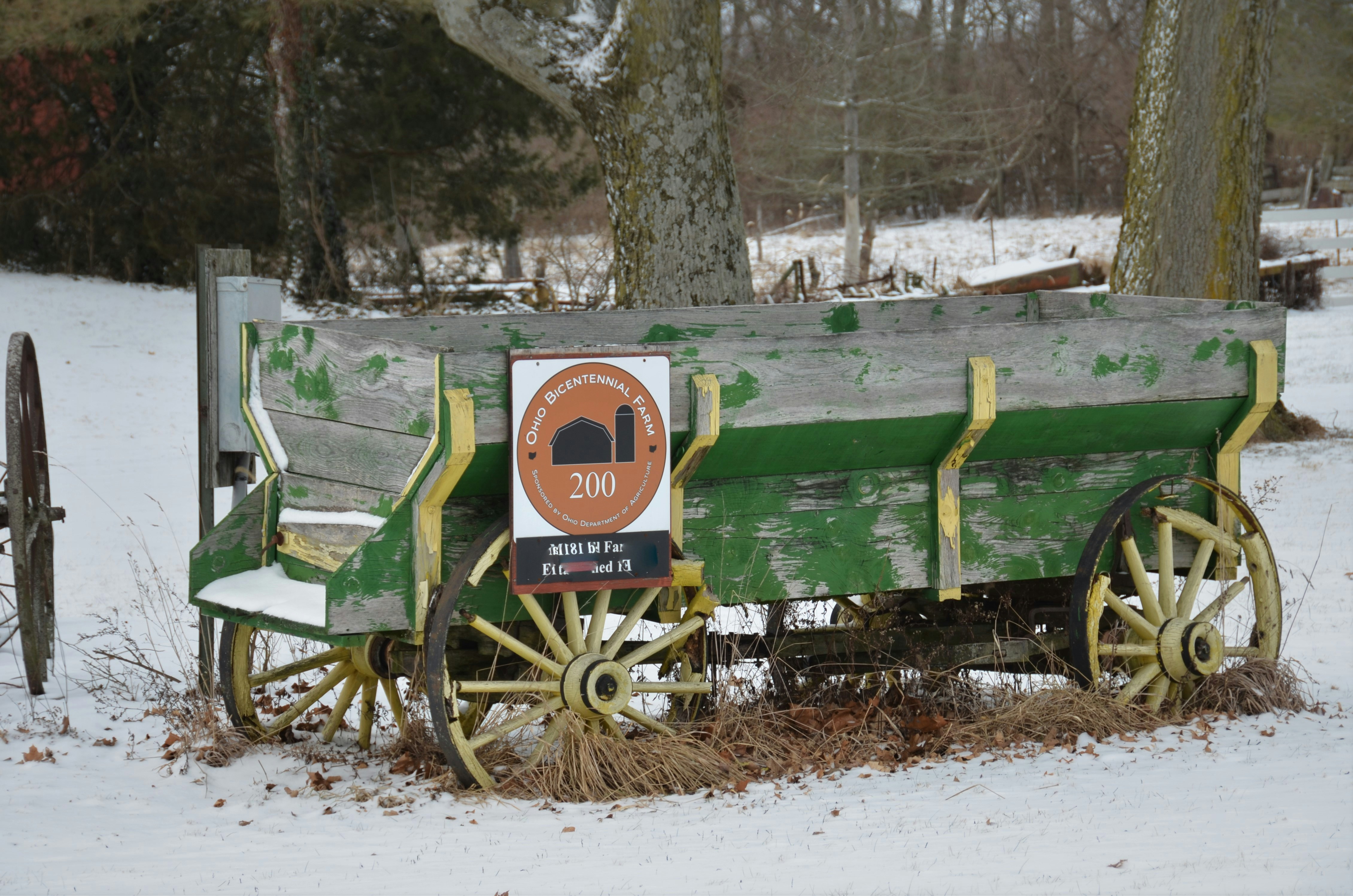 A green and yellow wagon sitting in the snow photo – Free Wagon Image ...