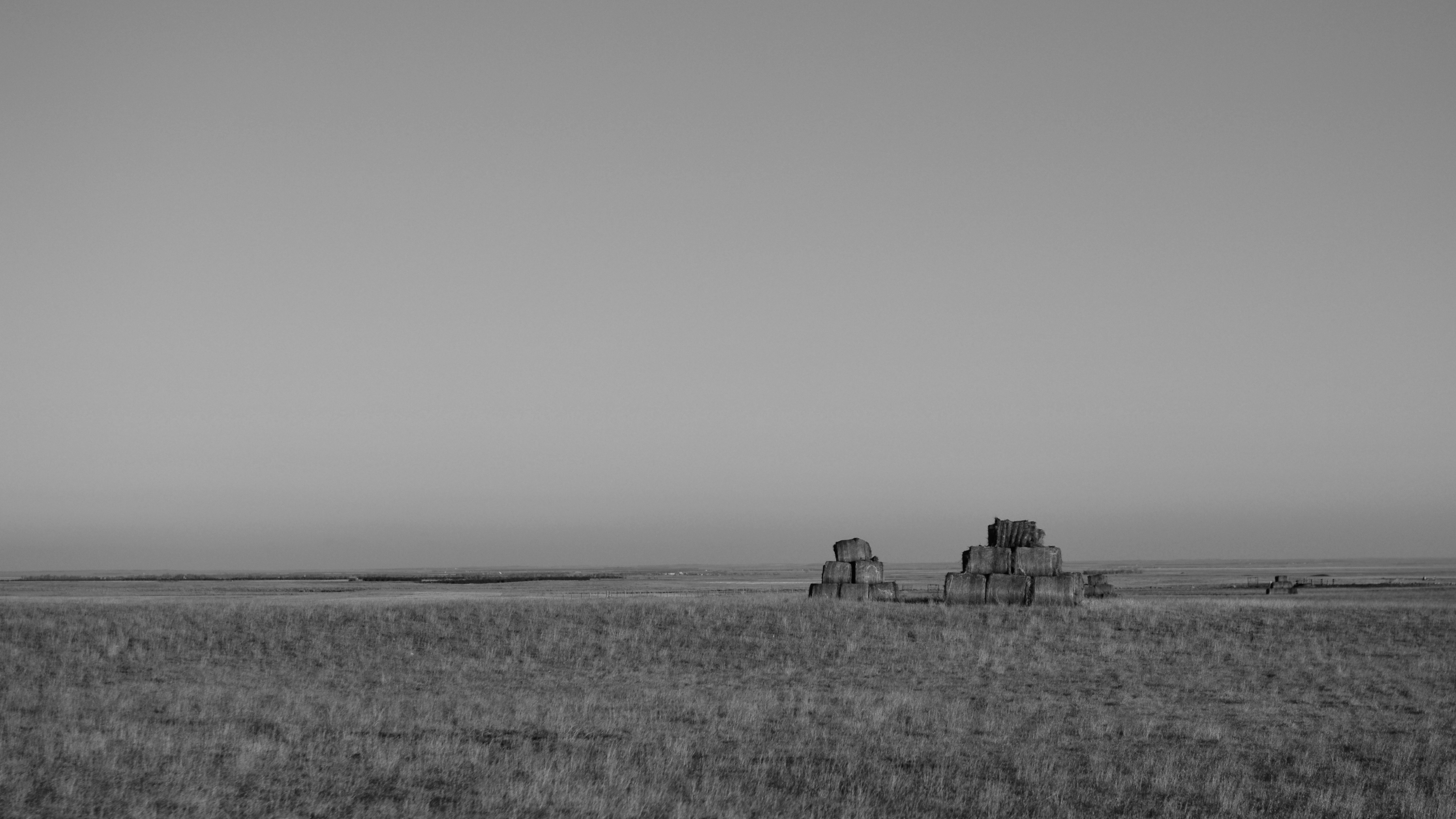 Foto zum Thema Ein Schwarz-Weiß-Foto eines Feldes – Kostenloses Bild zu ...