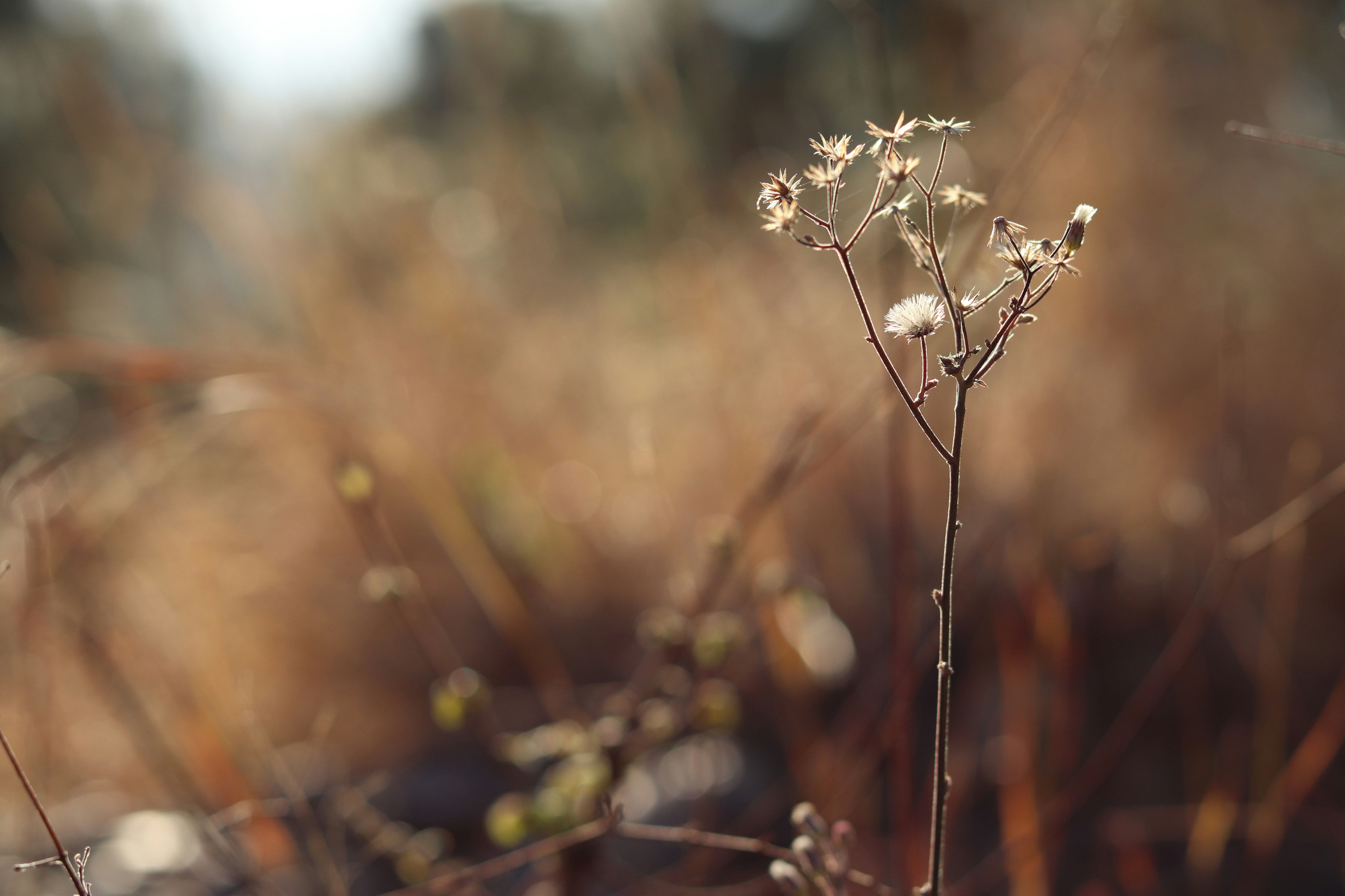 Rahul Pathania (@encrypted_being) | Unsplash Photo Community