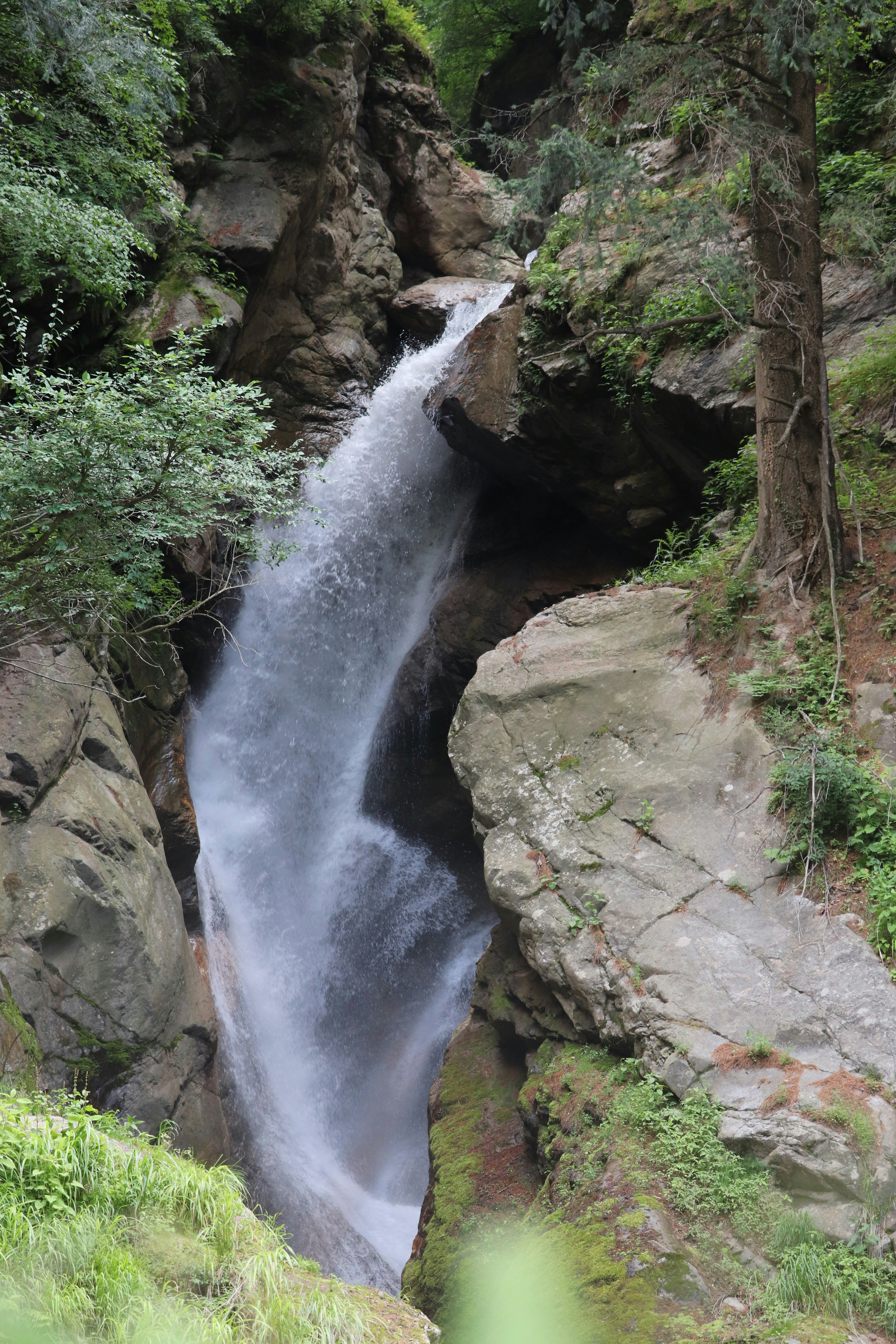 Rahul Pathania (@encrypted_being) | Unsplash Photo Community