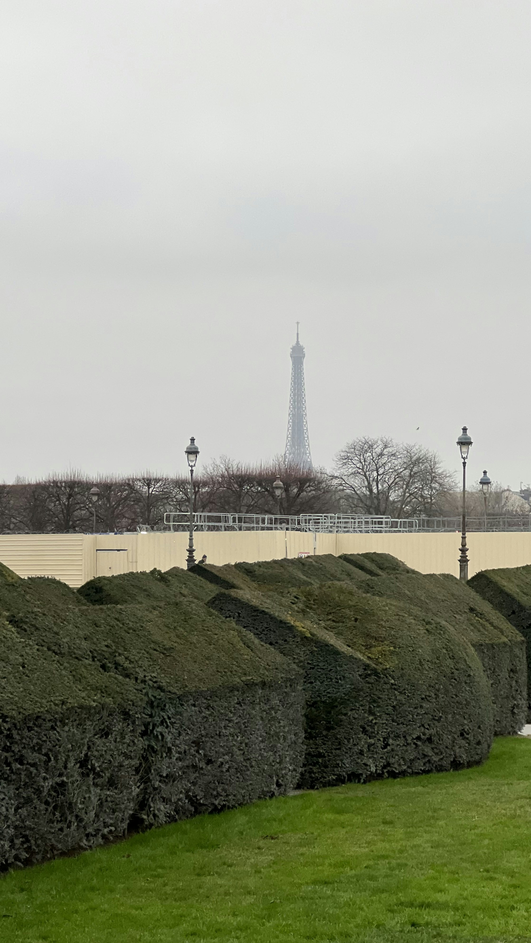 Between Pruned Hedges: a distant Eiffel Tower in a Quiet Parisian Vista