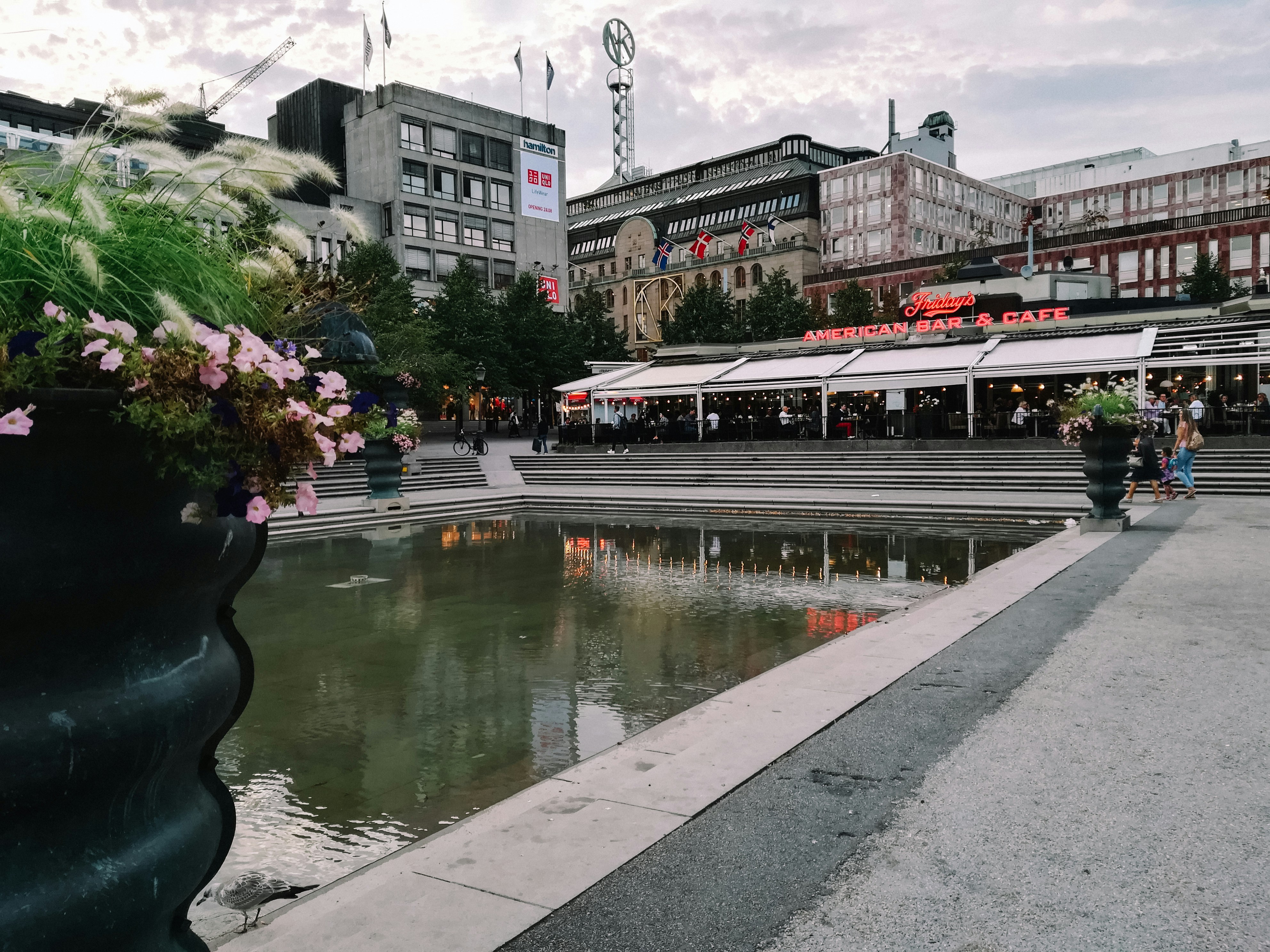 Vibrant flowers in a planter beside a tranquil pond, reflecting the lively atmosphere of a city square with outdoor dining.
