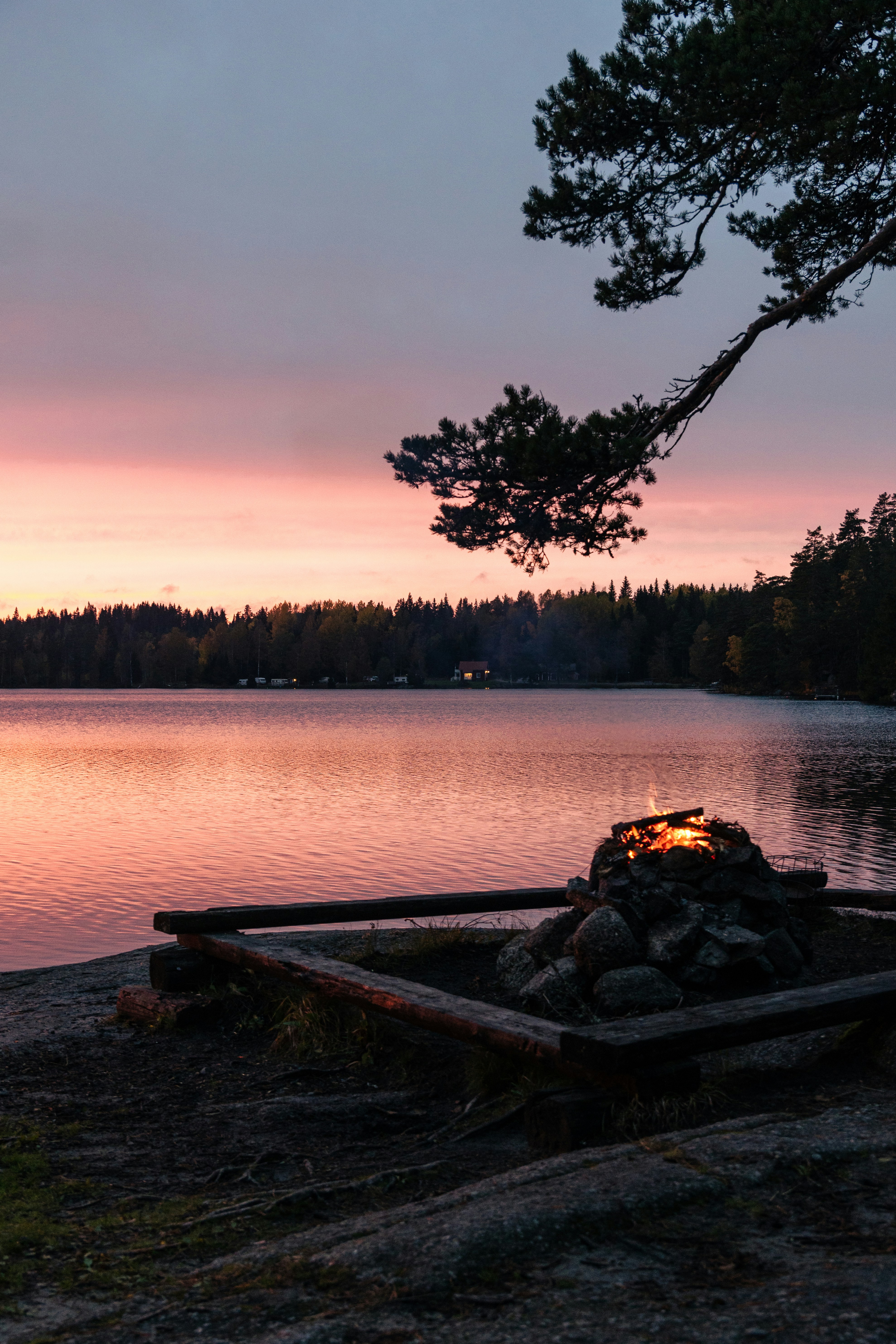 Pink Hour by the Fire Ring: Lakeside Camp Under a Leaning Pine