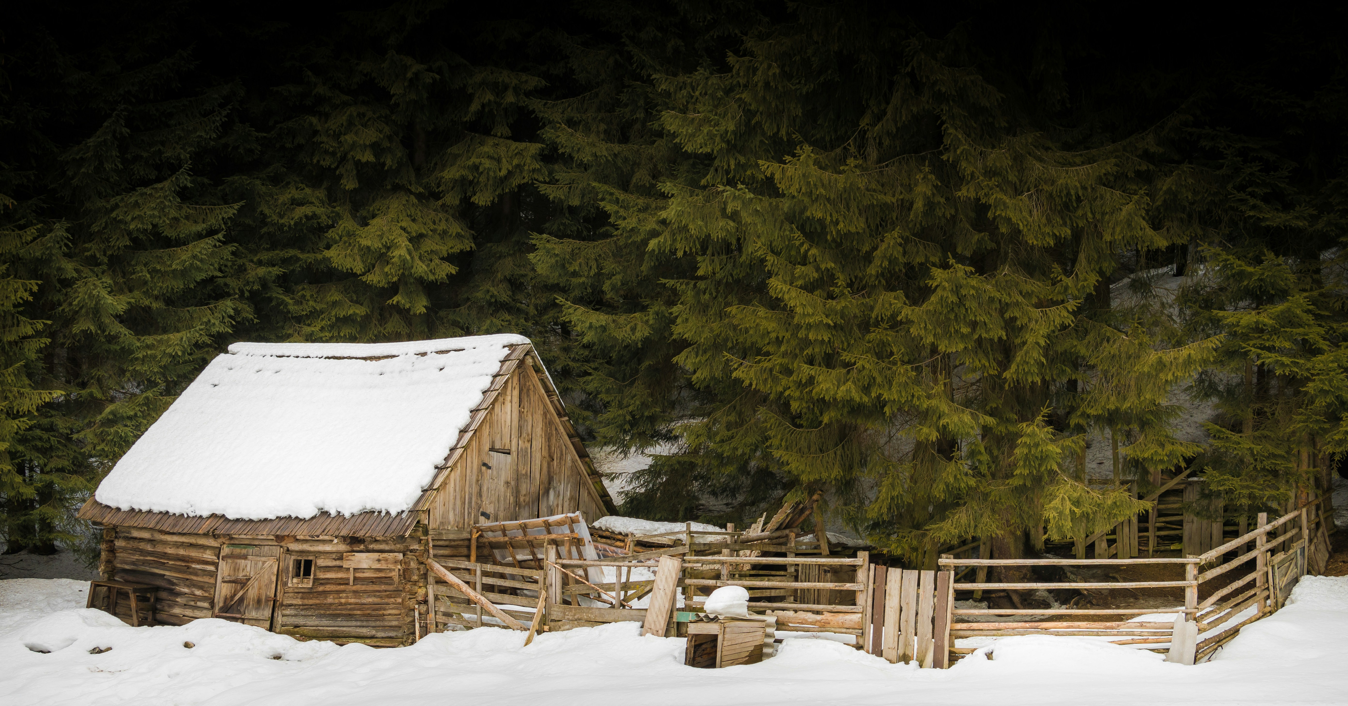 hut in the forest and snow  | a cabin in the woods with snow on the ground