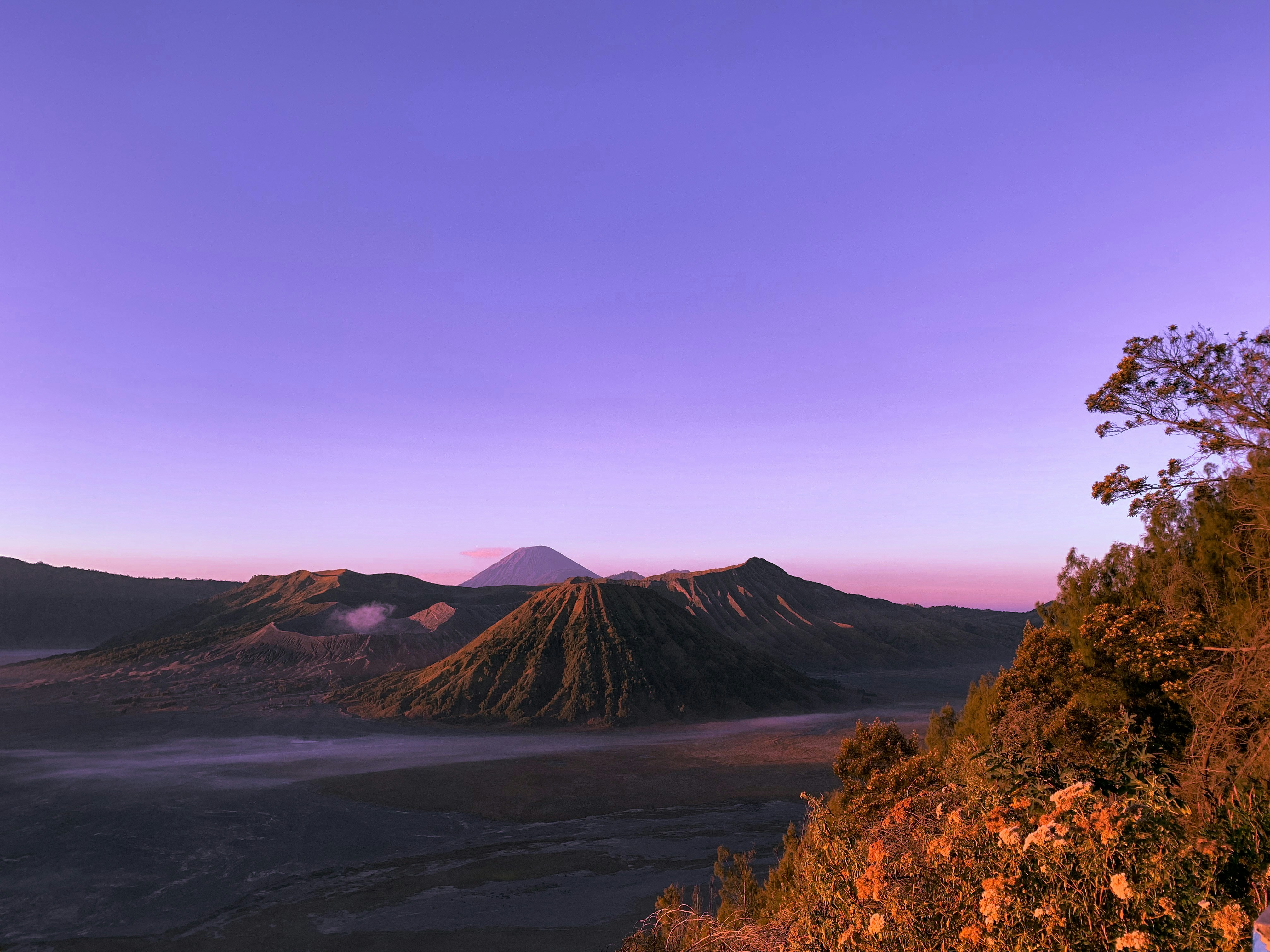 Majestic volcanic landscape at dawn, showcasing the iconic Mount Bromo with a pastel sky and lush foreground vegetation.