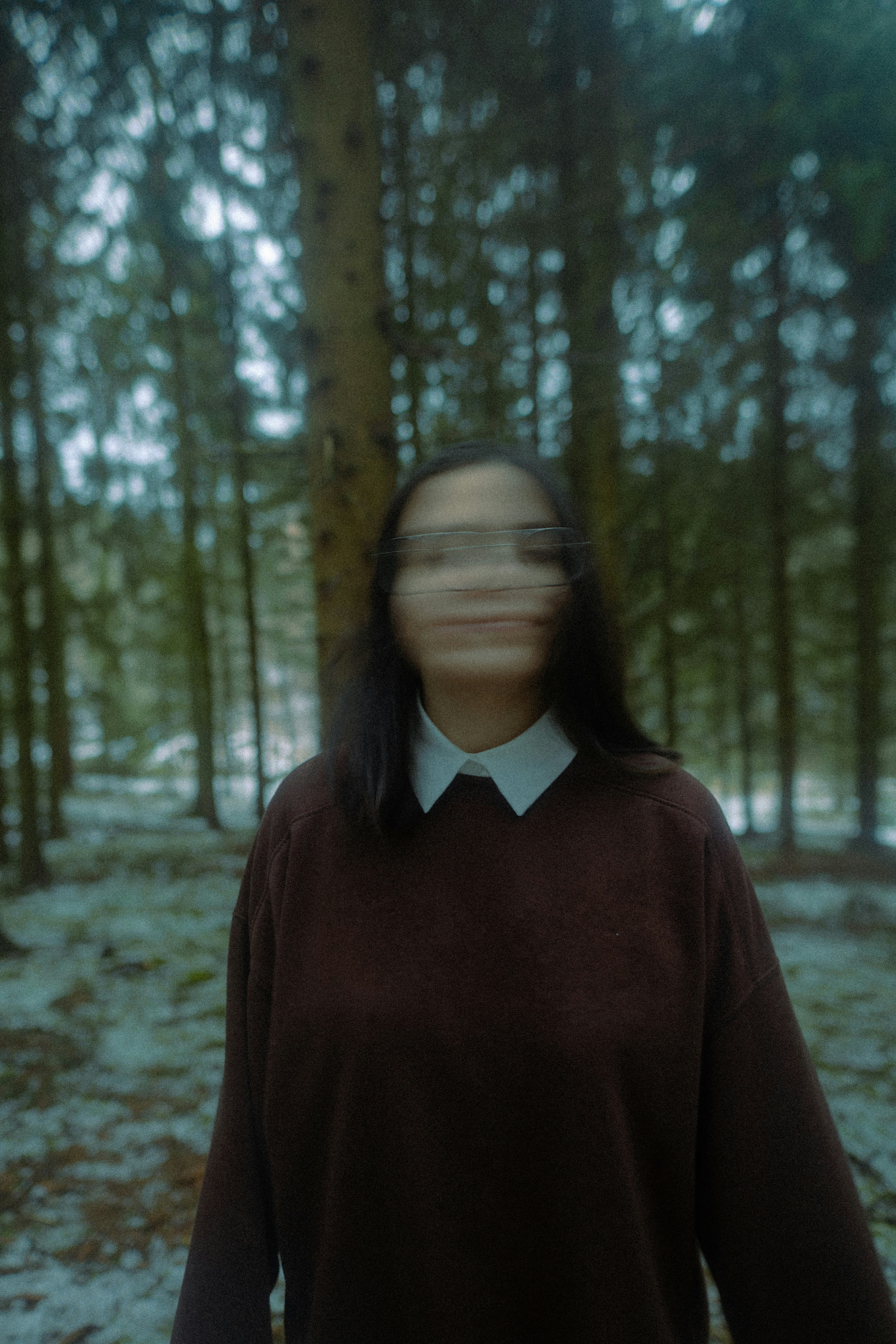 Forest Echoes: A Blurred Portrait Amid Tall Pines