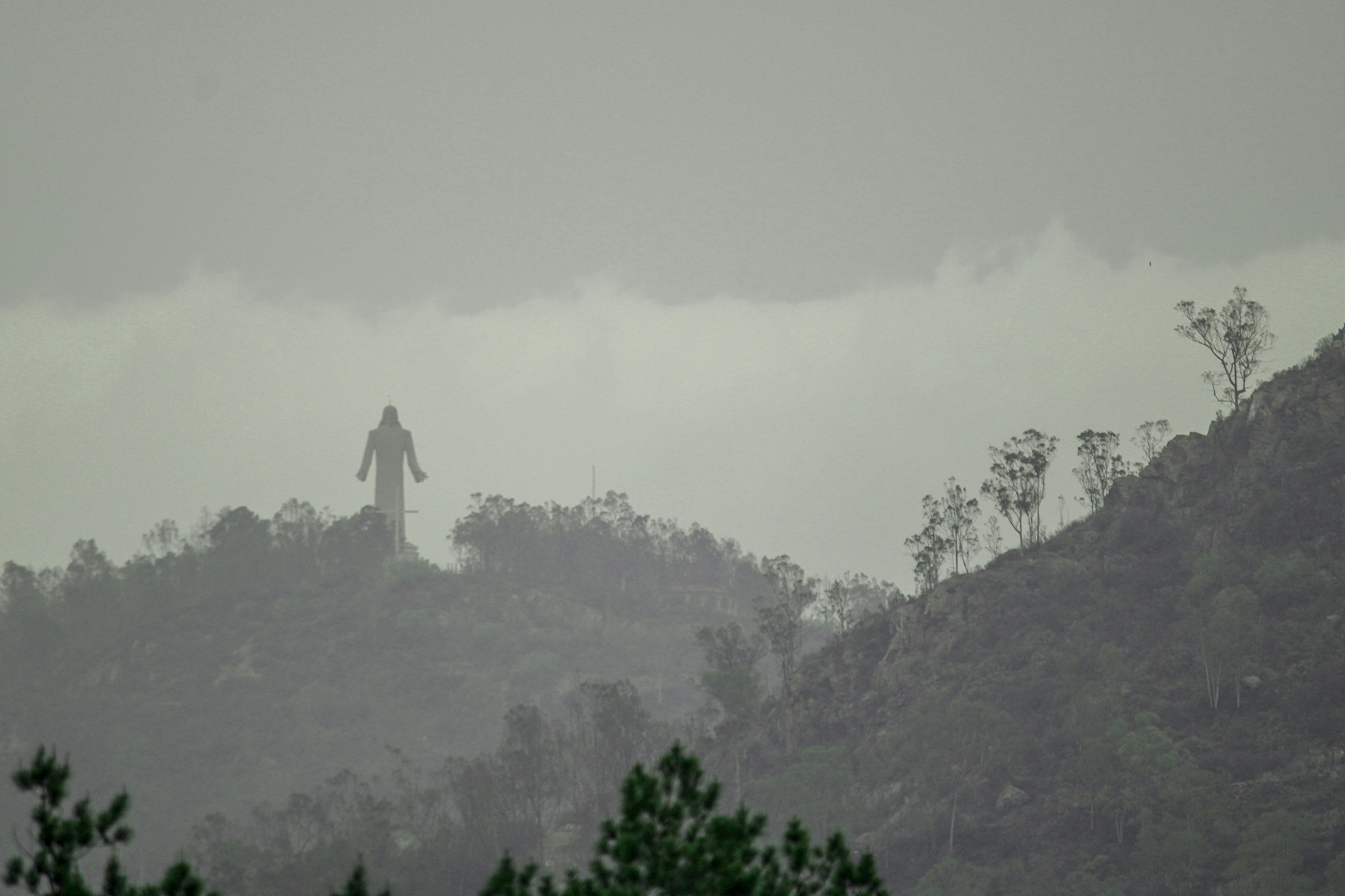 Mist on the Ridge: A Lone Figure Emerges Above the Trees