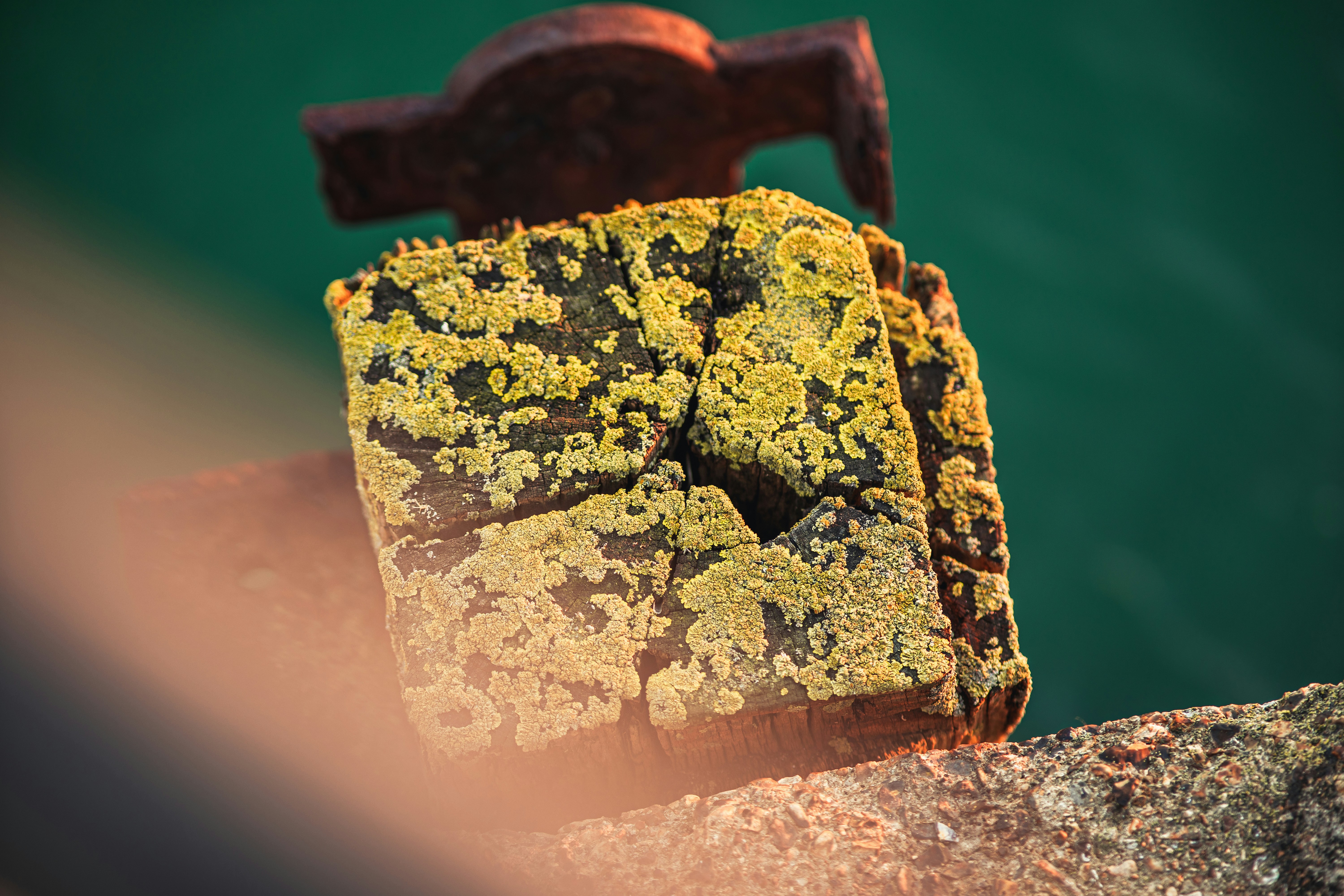 A piece of yellow and brown material sitting on top of a rock photo ...