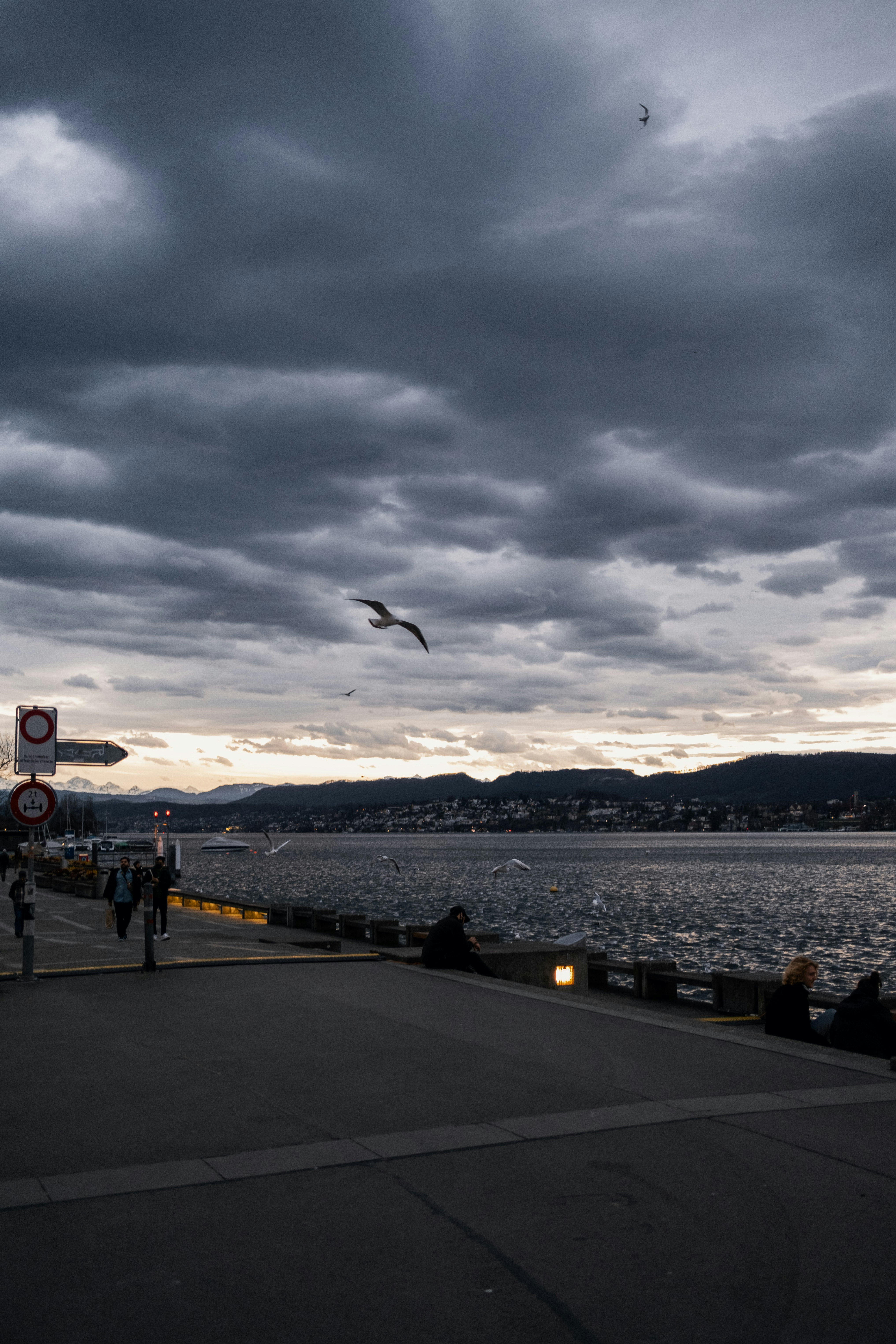 Seagull Ballet at Dusk Over a Quiet Waterfront Promenade