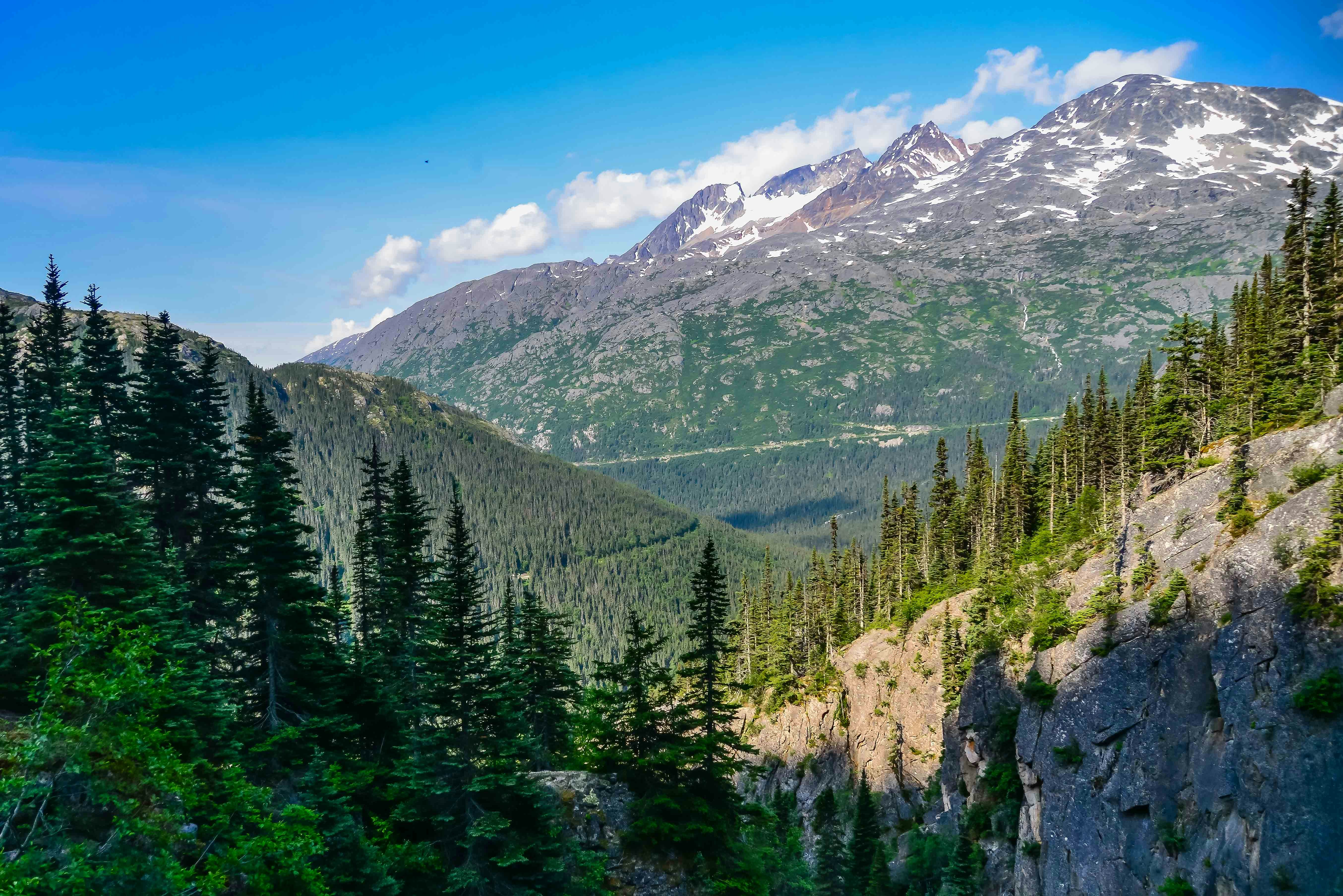 Une vue panoramique d’une chaîne de montagnes avec des arbres au ...